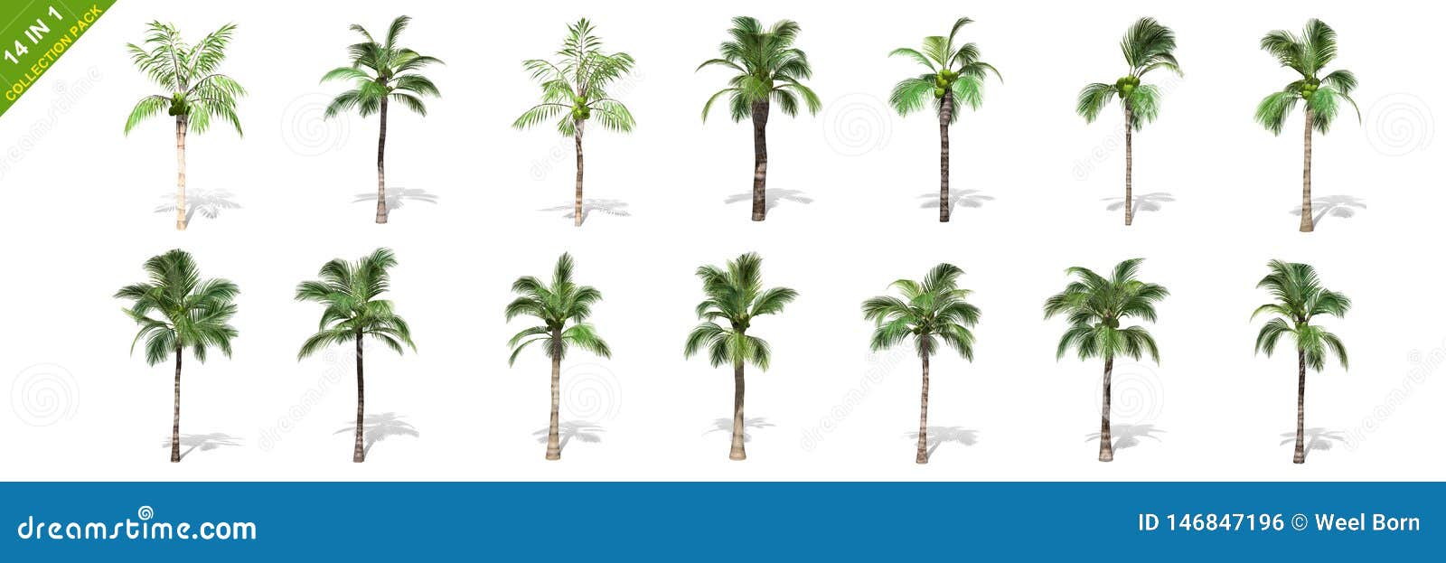 3D Rendering - 14 in 1 Collection of Tall Coconut Trees Isolated Over a ...