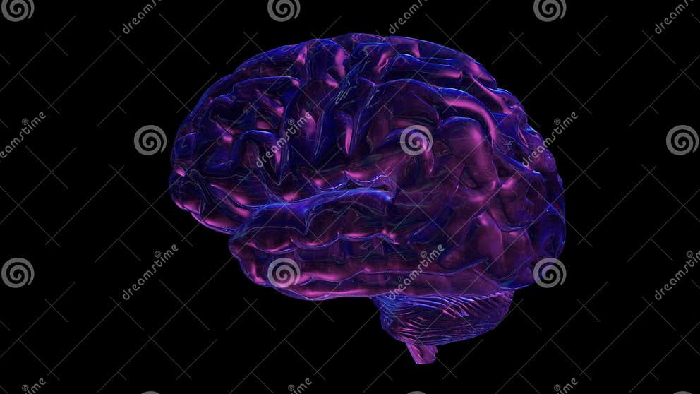 3D Rendering of Computer Model of Human Brain and Artificial ...