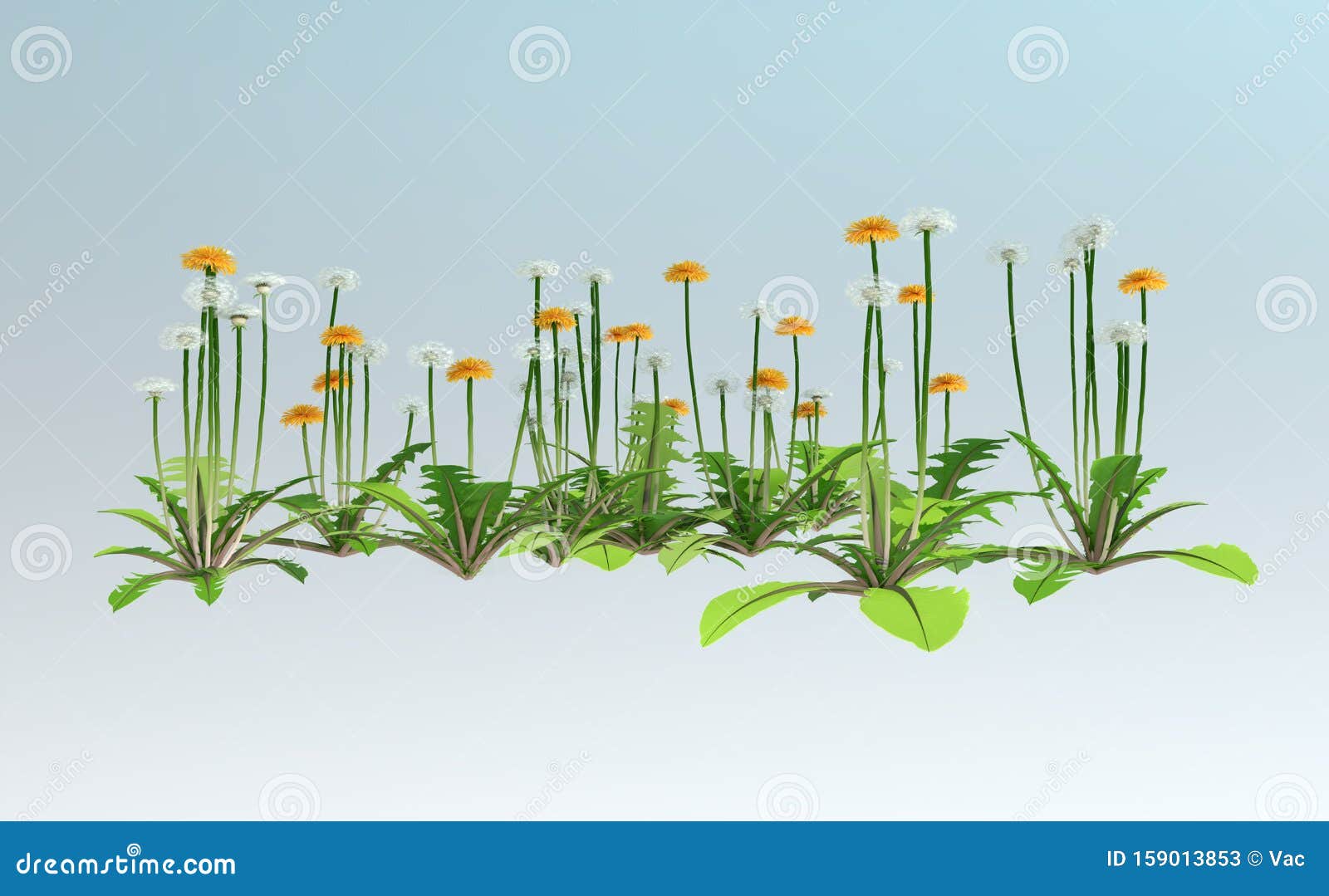3d Rendering Of Dandelion Blowing Silhouette. Flying Blow Dandel Stock ...