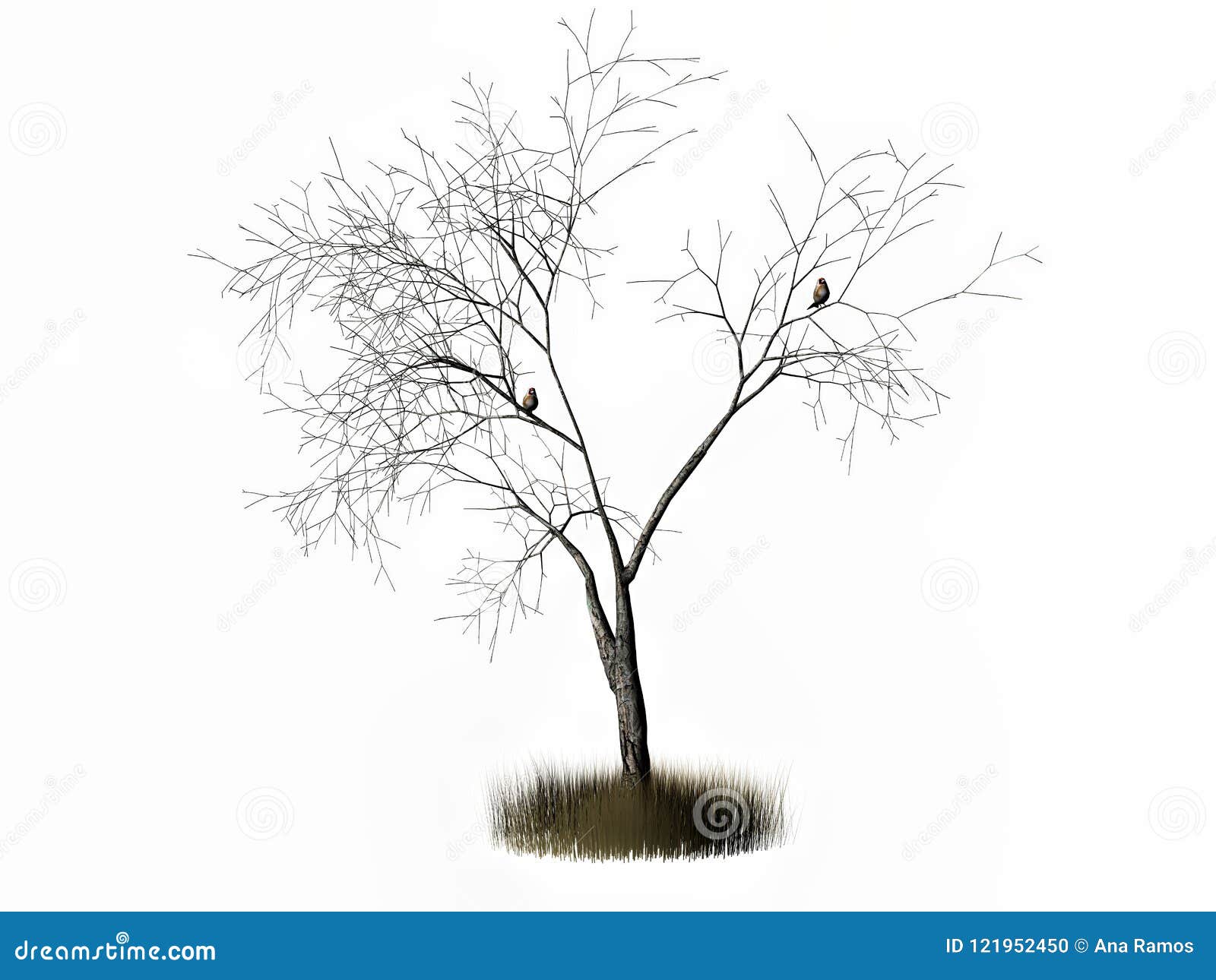 3 D Rendering of Dead Tree Isolated on White Background Stock ...