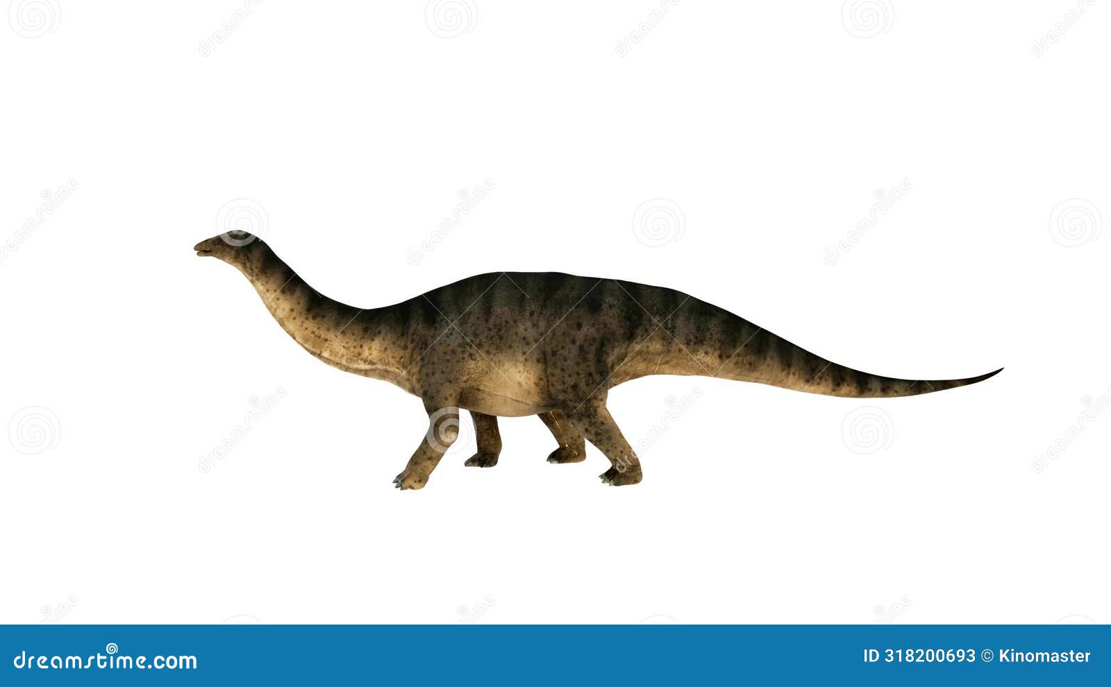3D Illustration of a Sauropod Dinosaur in a Natural Pose on Isolated ...