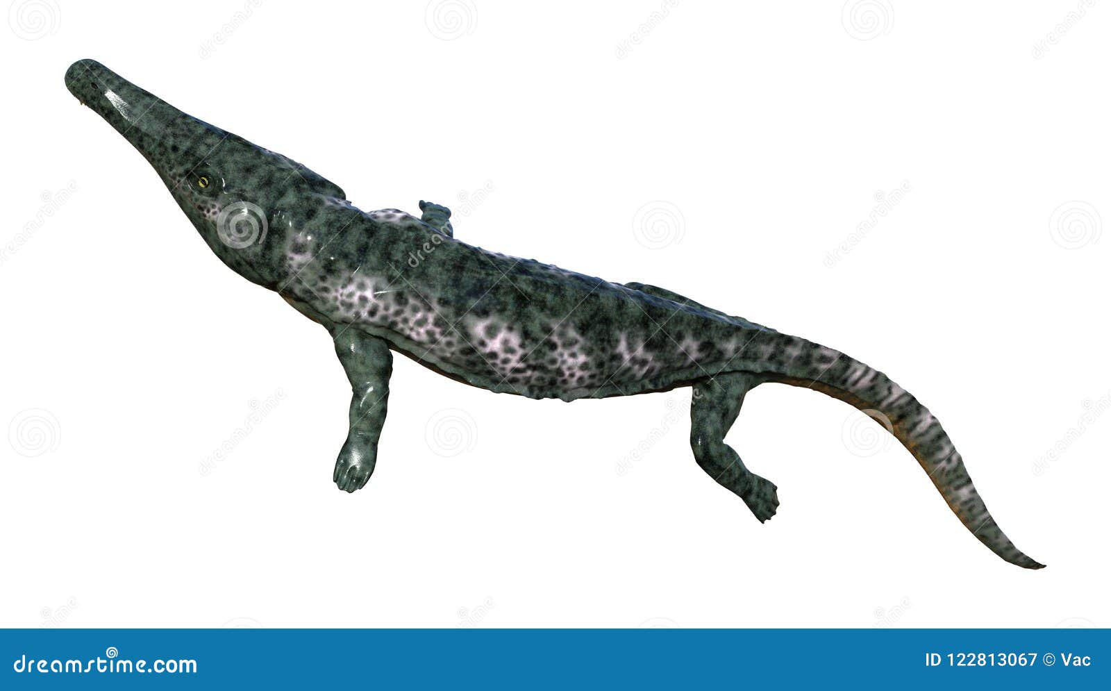 Labyrinthodontia Cartoons, Illustrations & Vector Stock Images - 20 ...