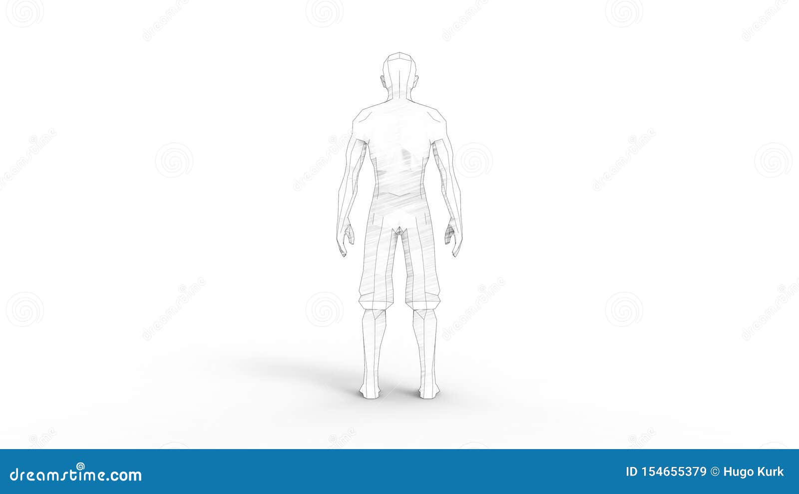 3D Rendering of a Digital Human Model Isolated in White Background ...