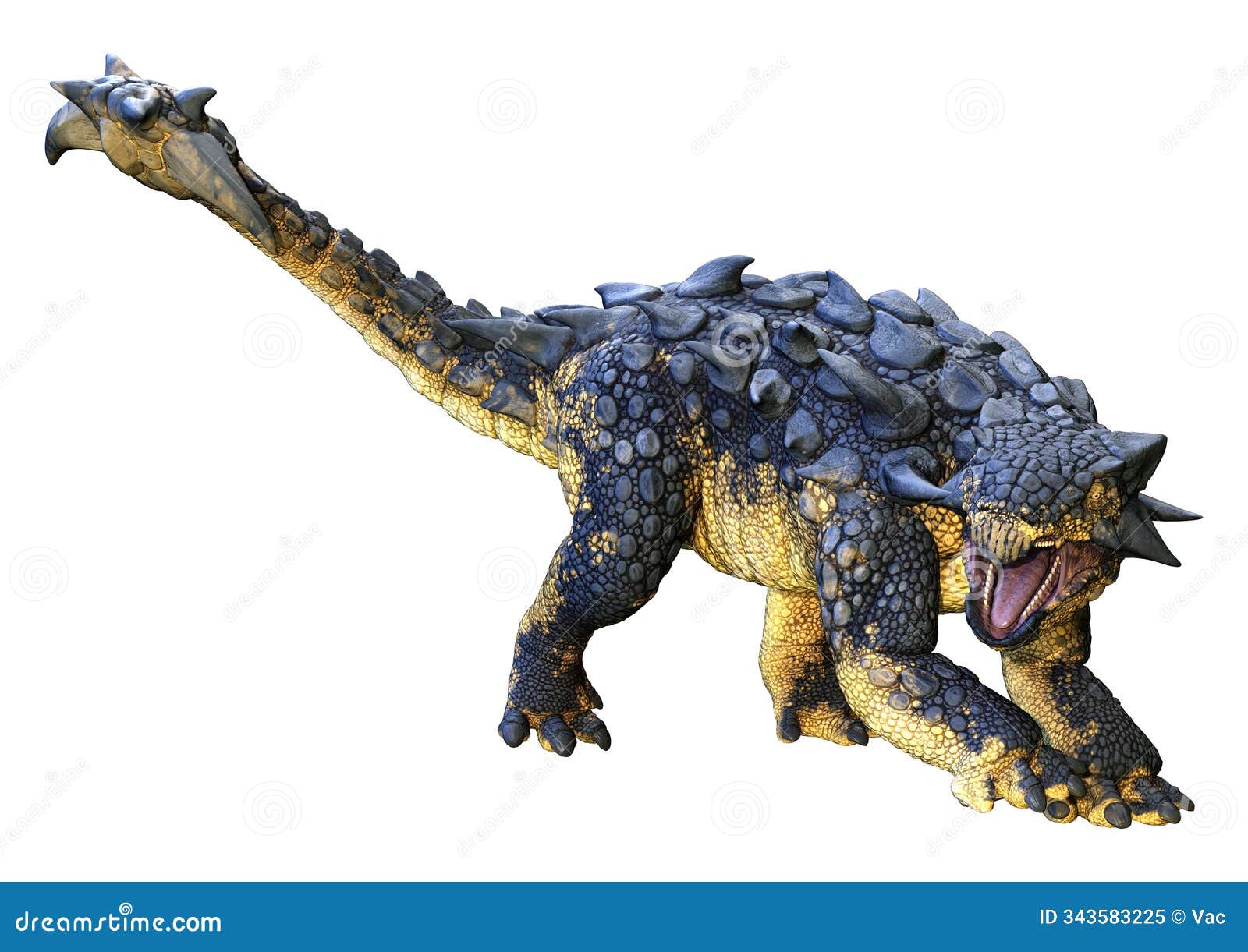 Ankylosaurus Isolated On White Background. Ankylosaurus Is A Herbivore ...
