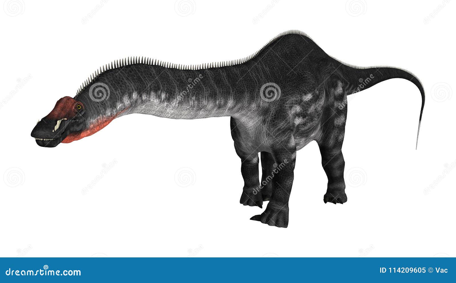 3D Rendering Dinosaur Apatosaurus on White Stock Illustration ...