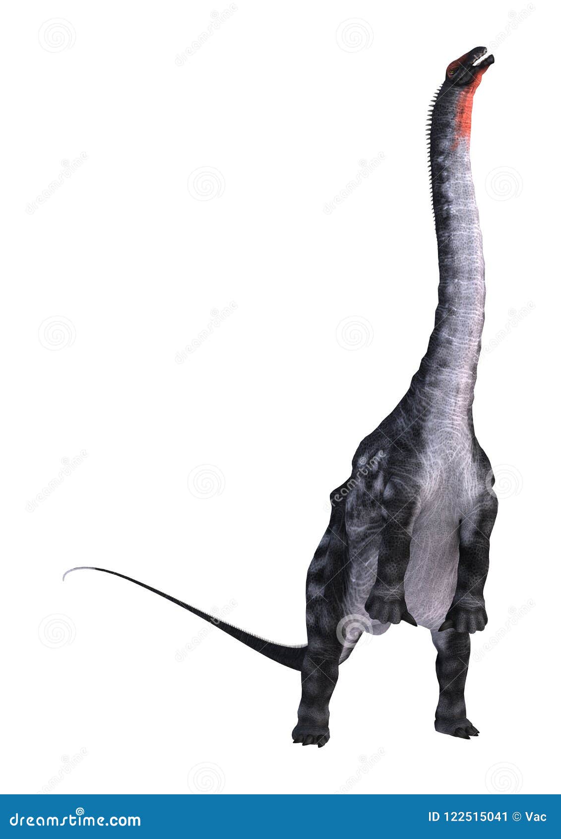 3D Rendering Dinosaur Apatosaurus on White Stock Illustration ...