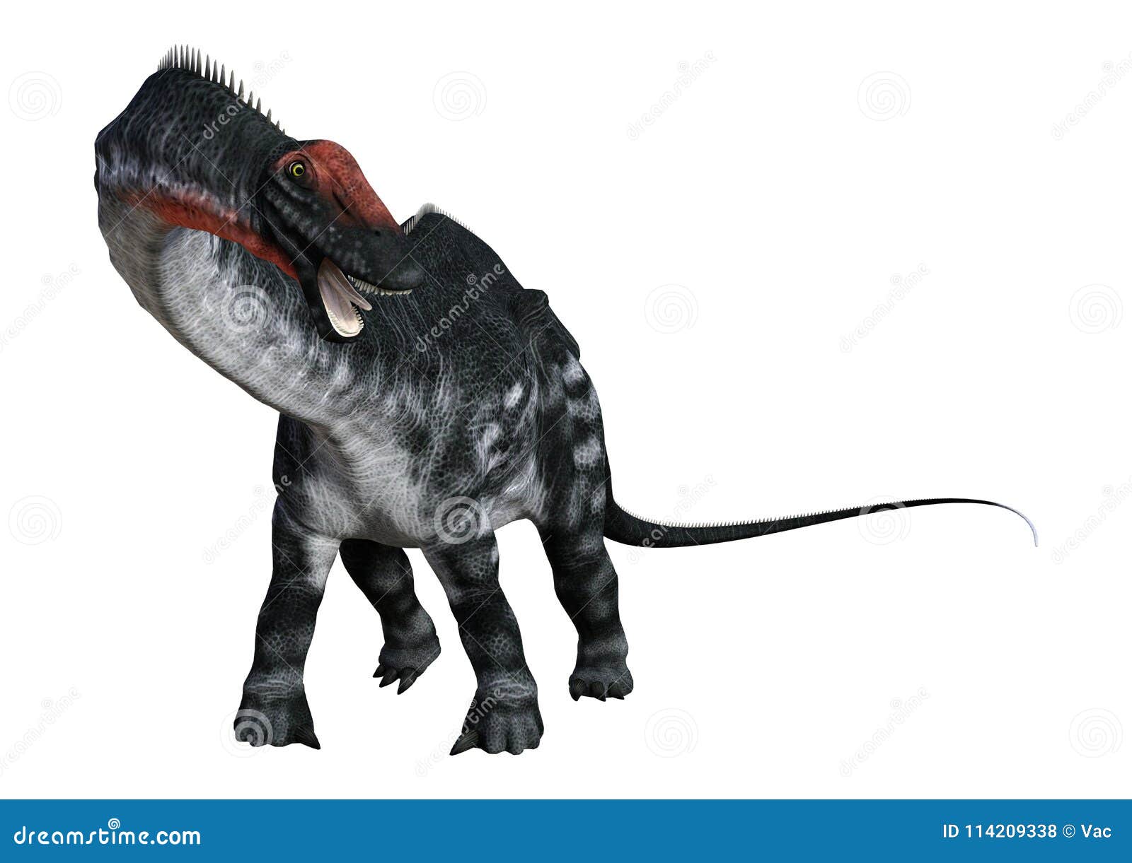 3D Rendering Dinosaur Apatosaurus on White Stock Illustration ...