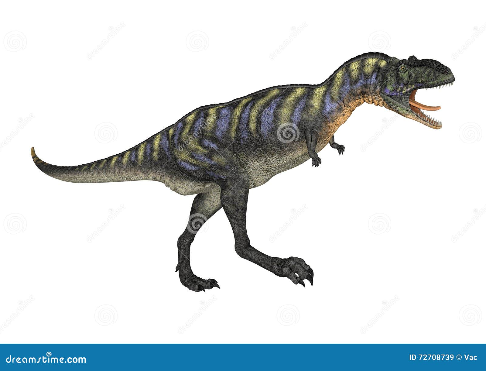 3D Rendering Dinosaur Aucasaurus on White Stock Illustration ...