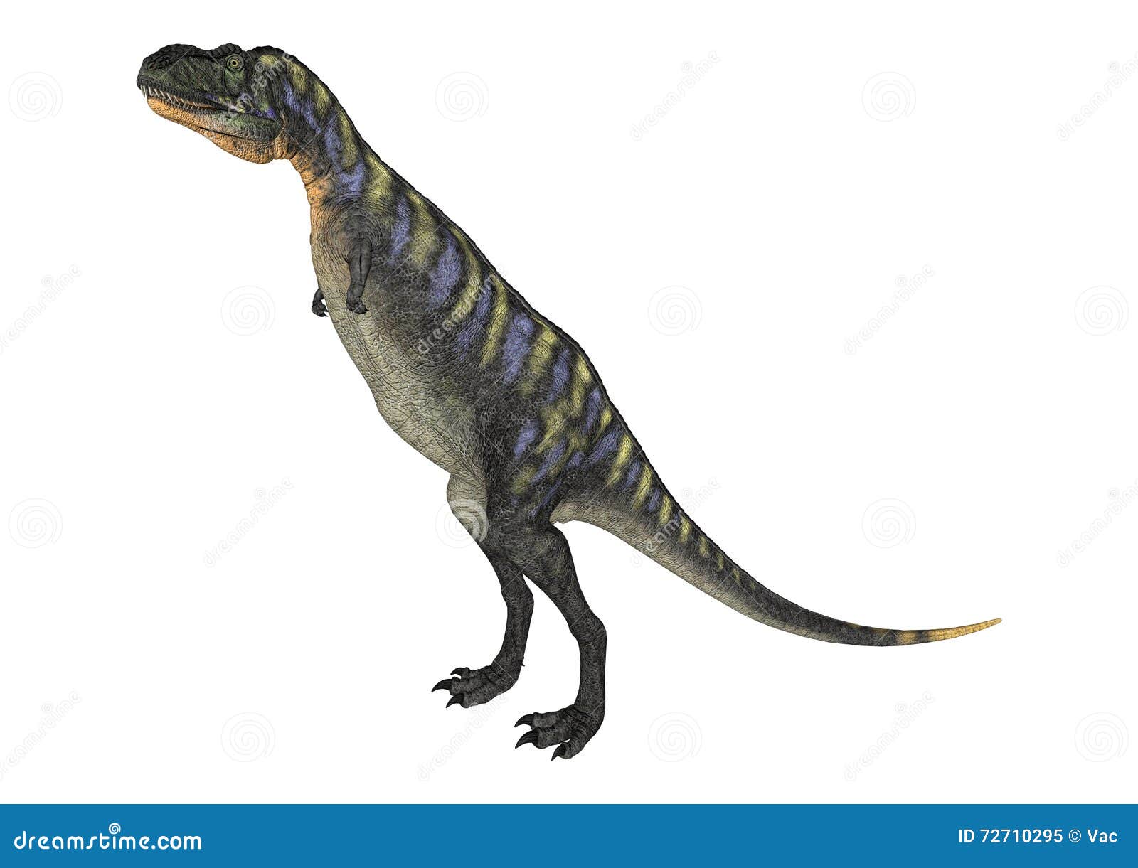 Aucasaurus On White Stock Photography | CartoonDealer.com #44684714