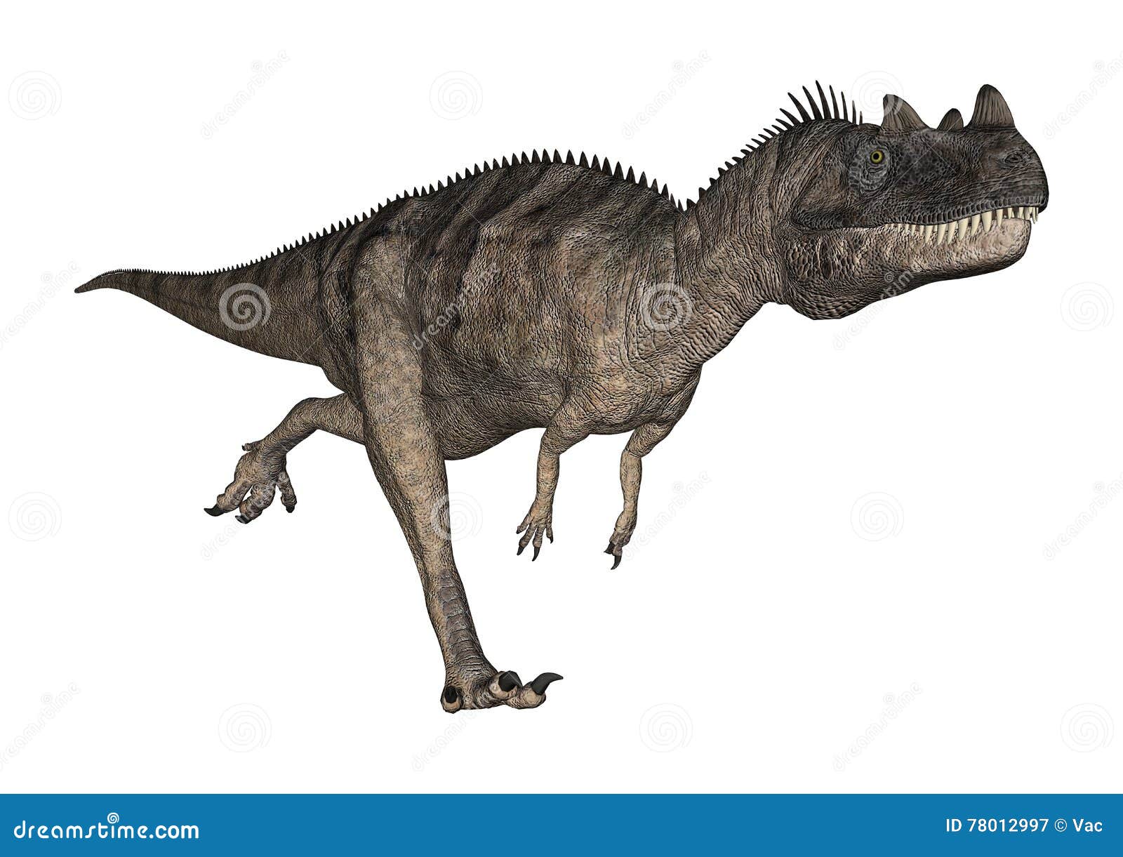 3D Rendering Dinosaur Ceratosaurus on White Stock Illustration ...