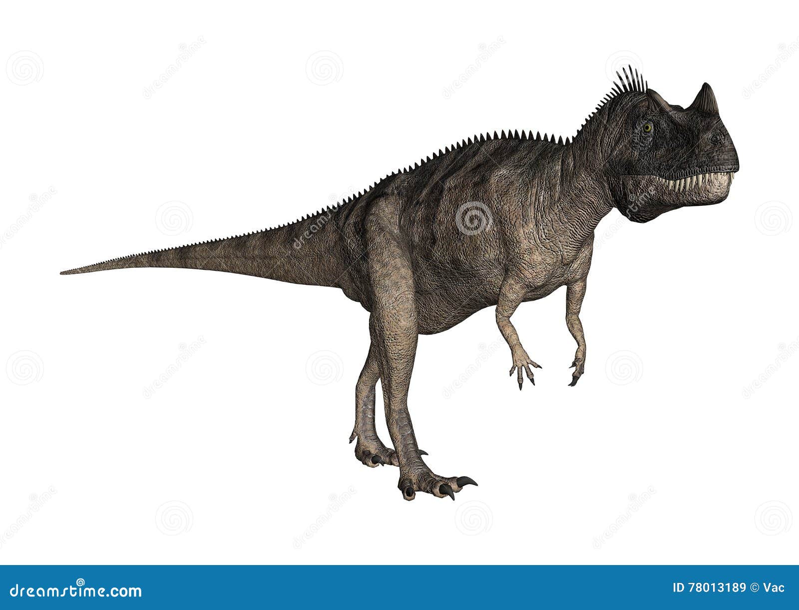3D Rendering Dinosaur Ceratosaurus on White Stock Illustration ...