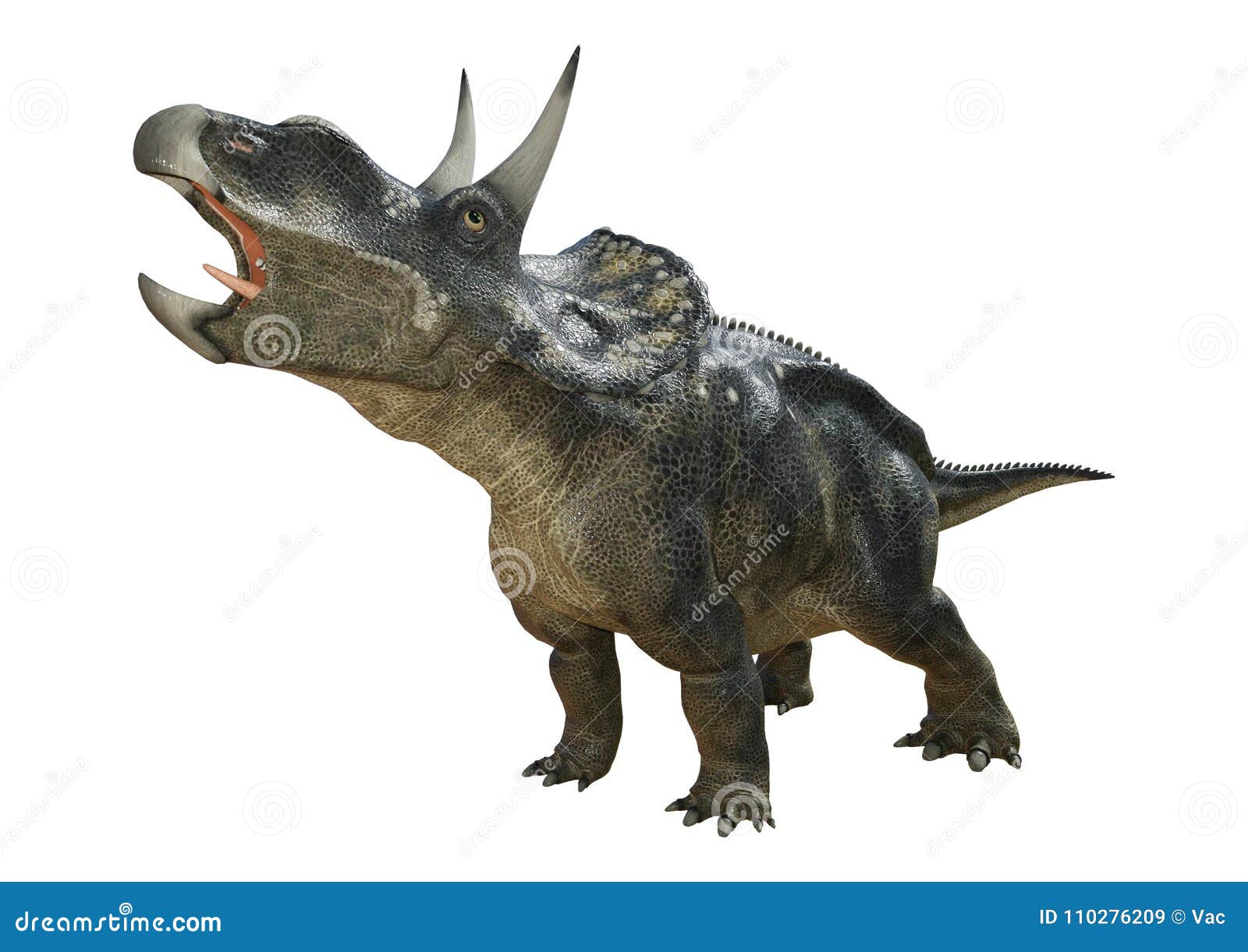 Dinosaur Diceratops Royalty-Free Stock Image | CartoonDealer.com #40006708