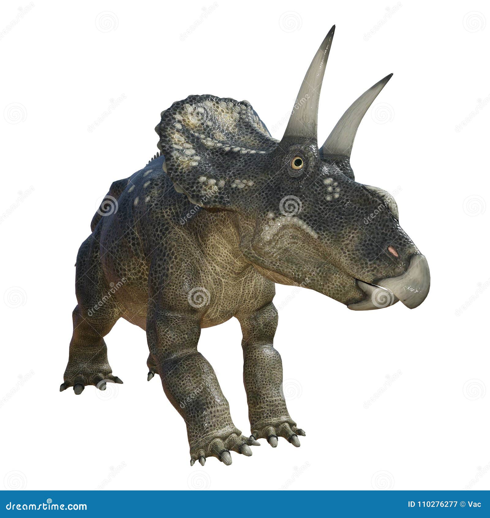 3D Rendering Dinosaur Diceratops on White Stock Illustration ...