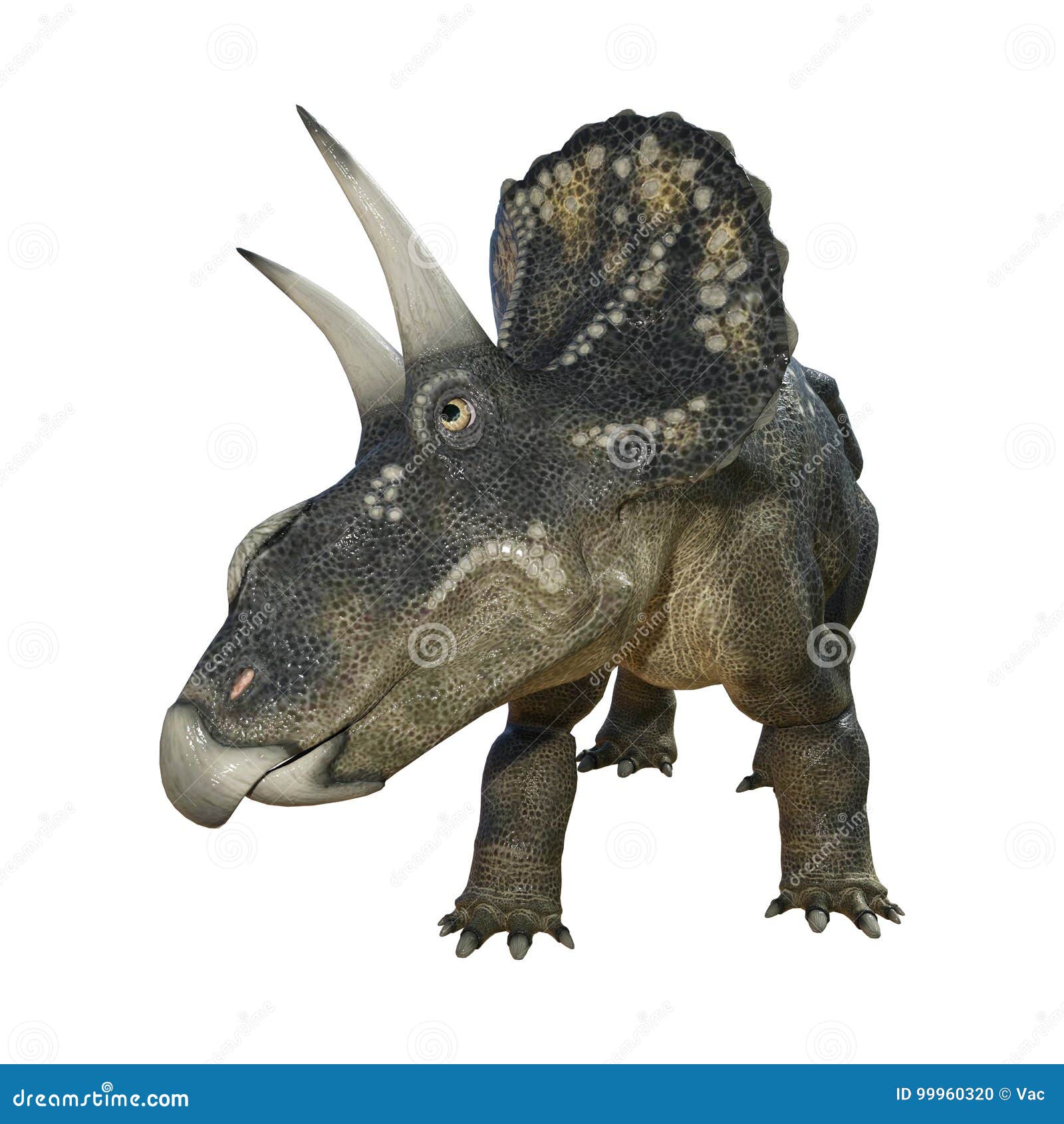 3D Rendering Dinosaur Diceratops on White Stock Illustration ...
