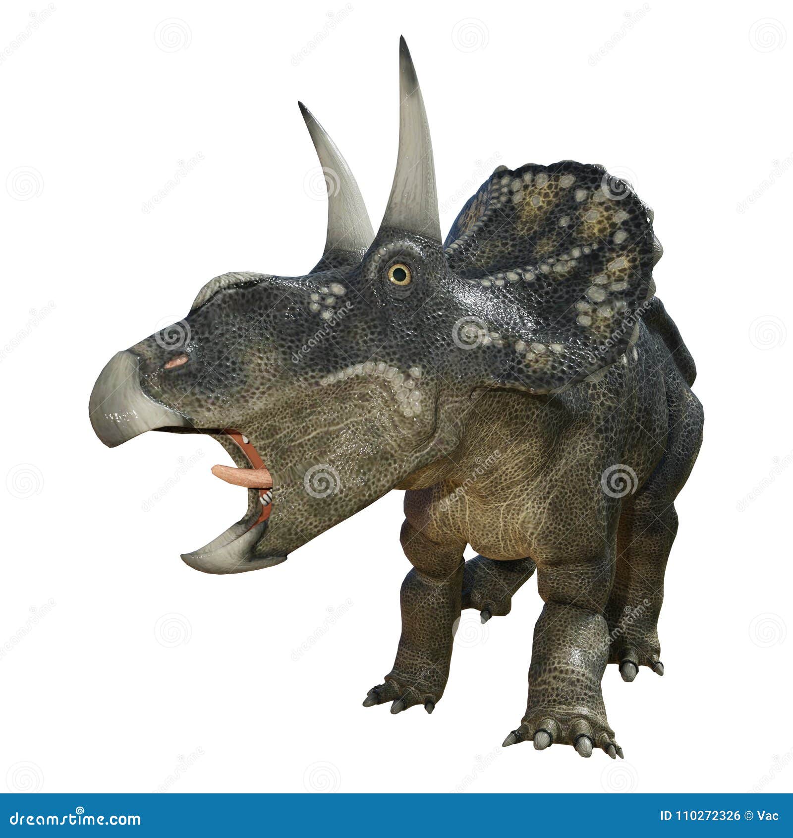 3D Rendering Dinosaur Diceratops on White Stock Illustration ...