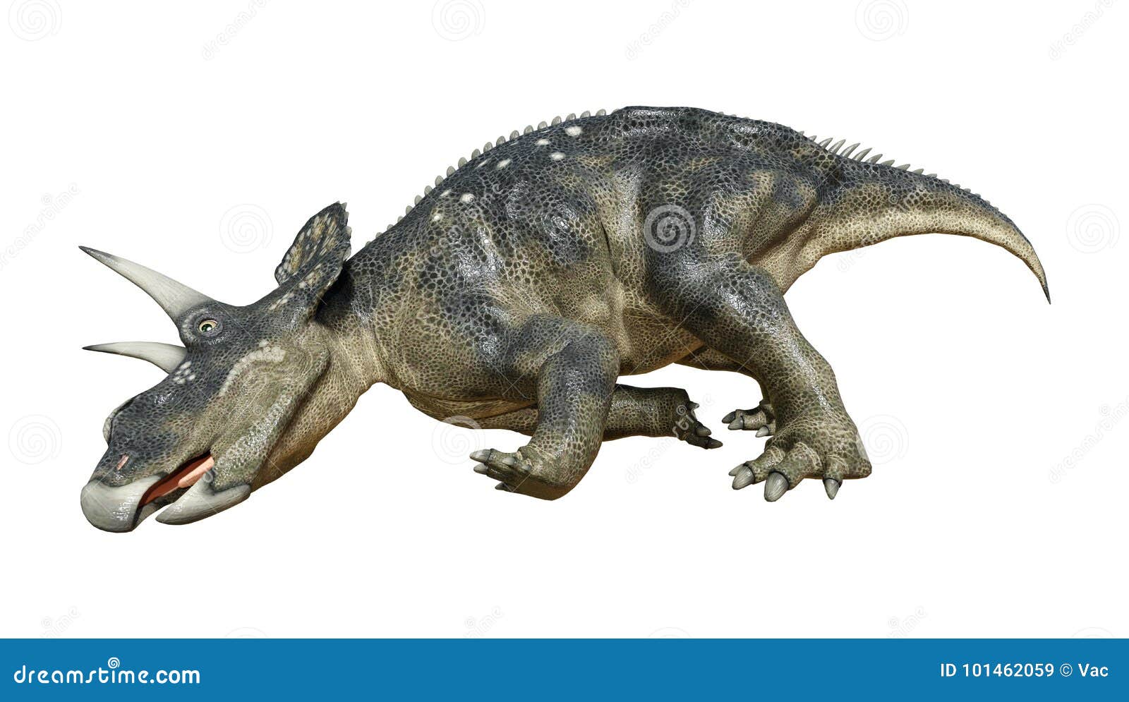 Dinosaur Diceratops Royalty-Free Stock Image | CartoonDealer.com #40006708