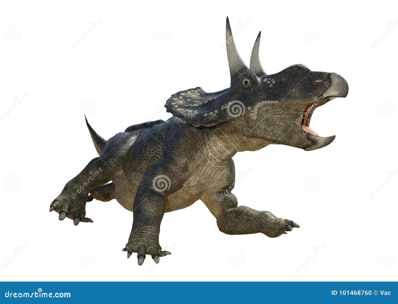 Diceratops