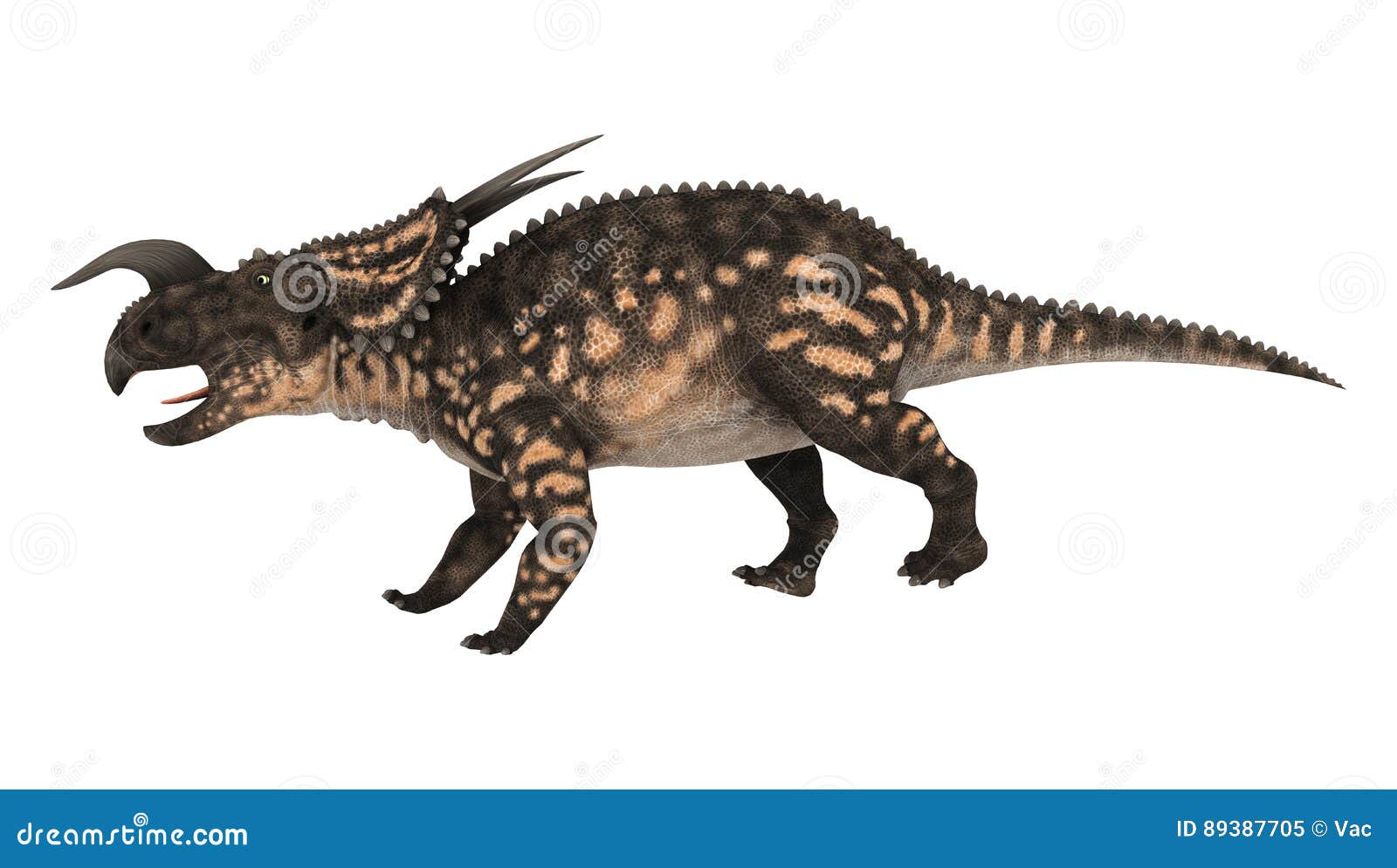 Einiosaurus Skeleton