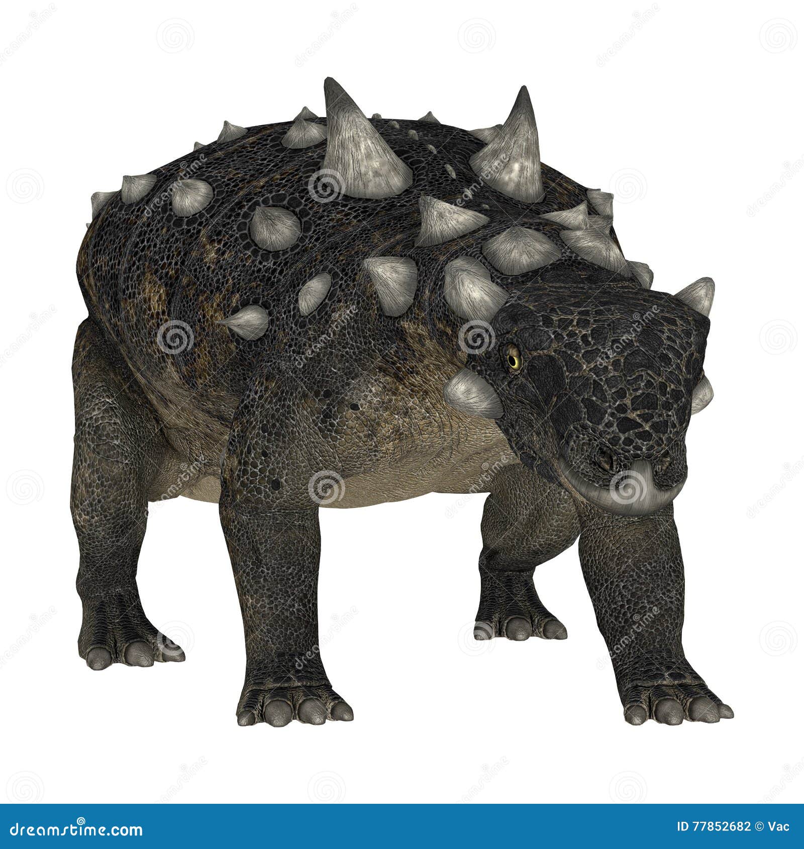 3D Rendering Dinosaur Euoplocephalus on White Stock Illustration ...