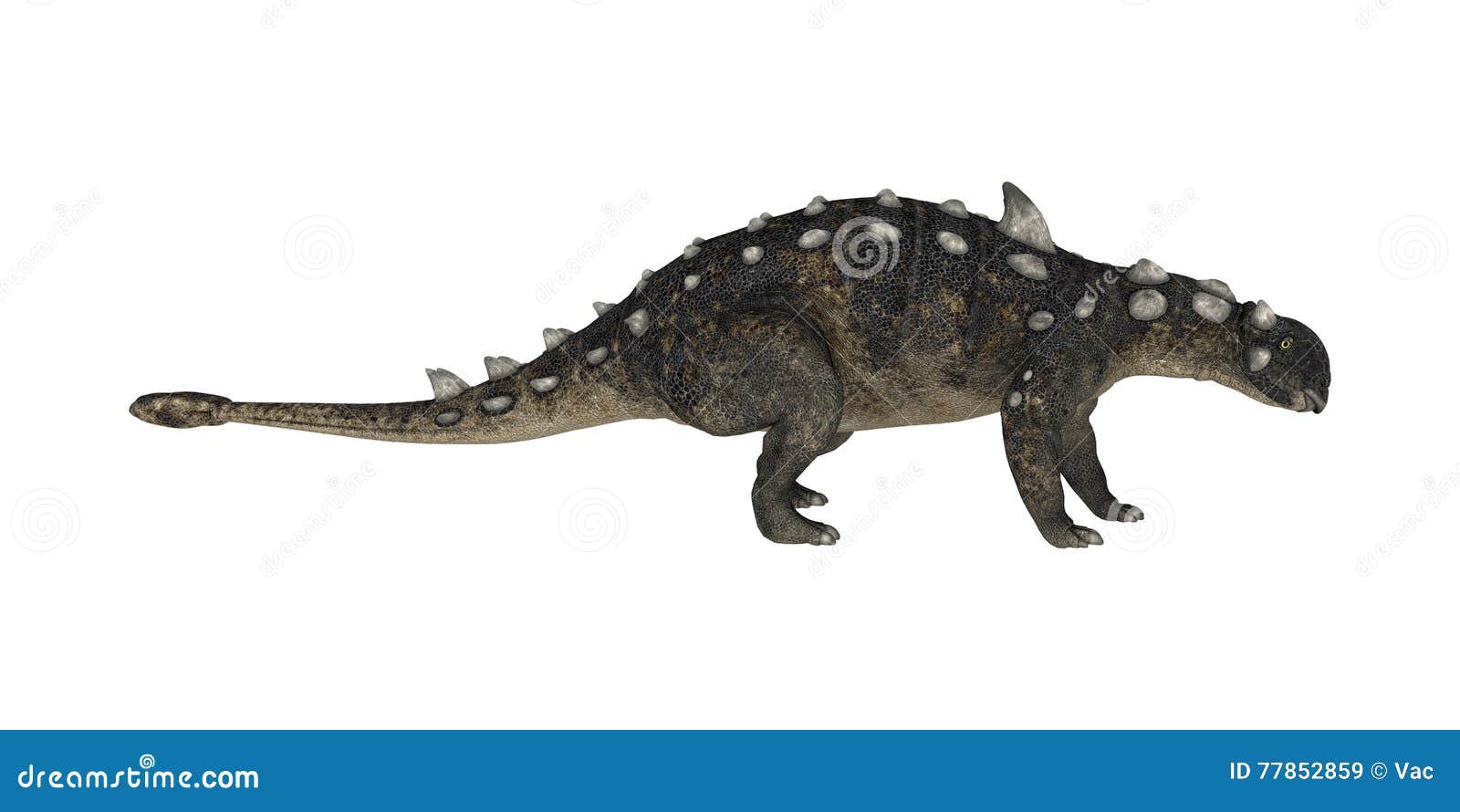 3D Rendering Dinosaur Euoplocephalus on White Stock Illustration ...