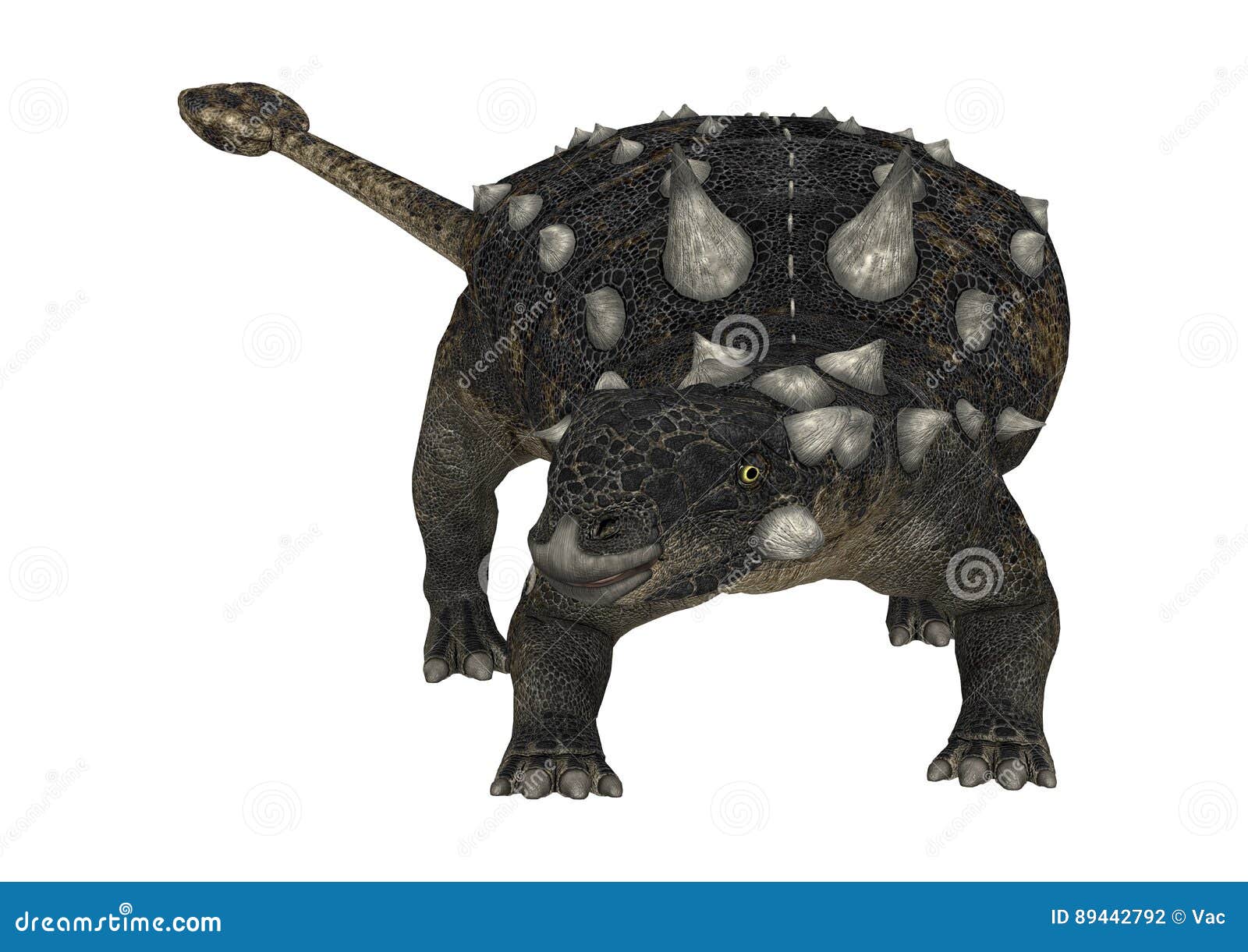3D Rendering Dinosaur Euoplocephalus on White Stock Illustration ...