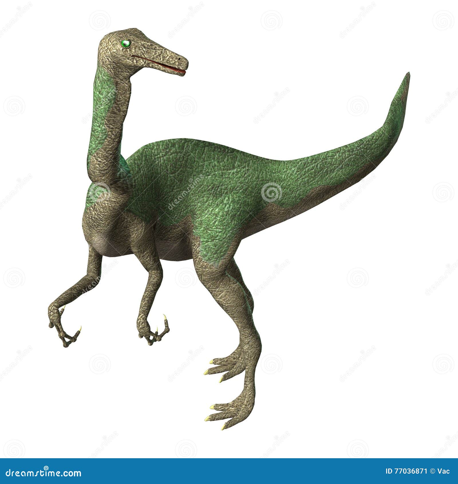 3D Rendering Dinosaur Gallimimus on White Stock Illustration ...