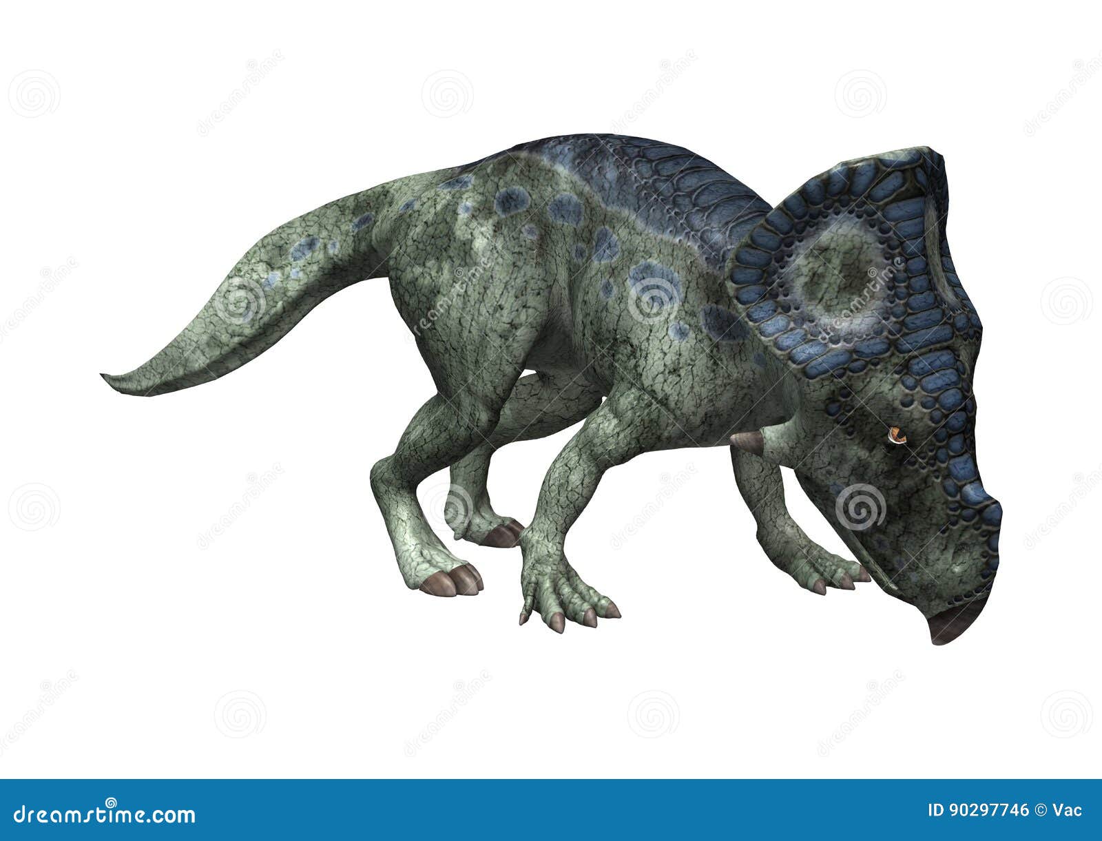 3D Rendering Dinosaur Protoceratops on White Stock Illustration ...
