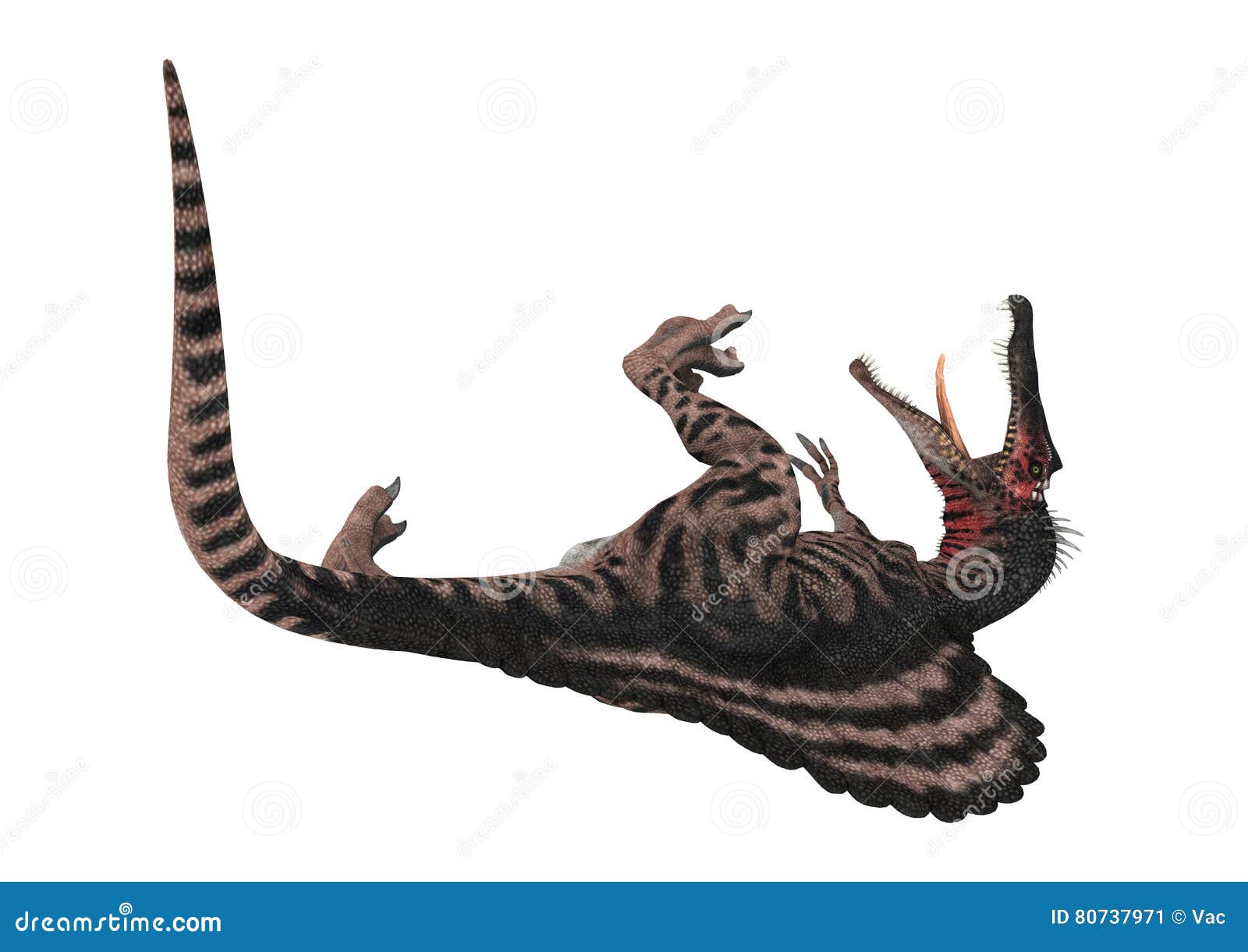 3D Rendering Dinosaur Spinosaurus on White Stock Illustration ...