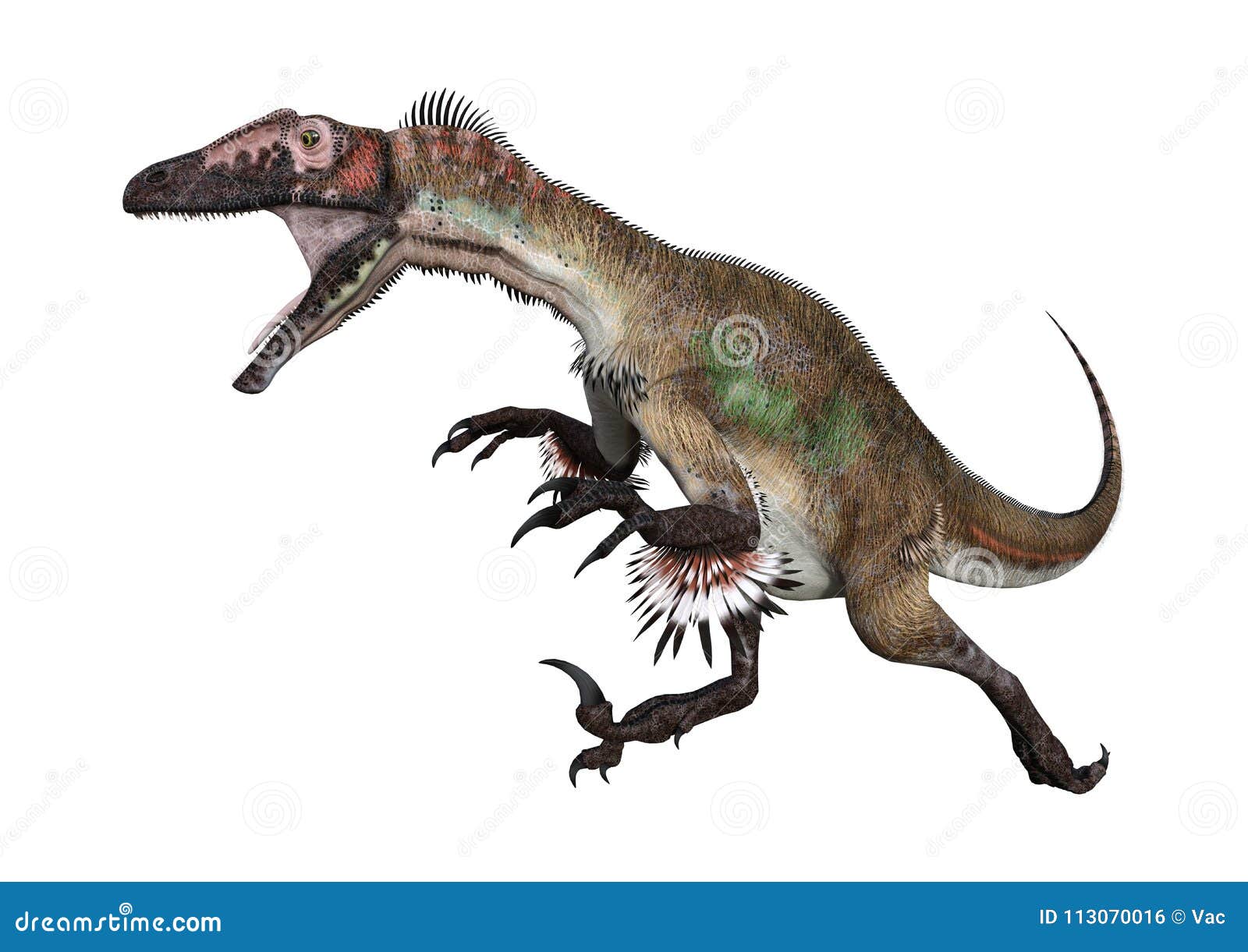 3D Rendering Dinosaur Utahraptor on White Stock Illustration ...