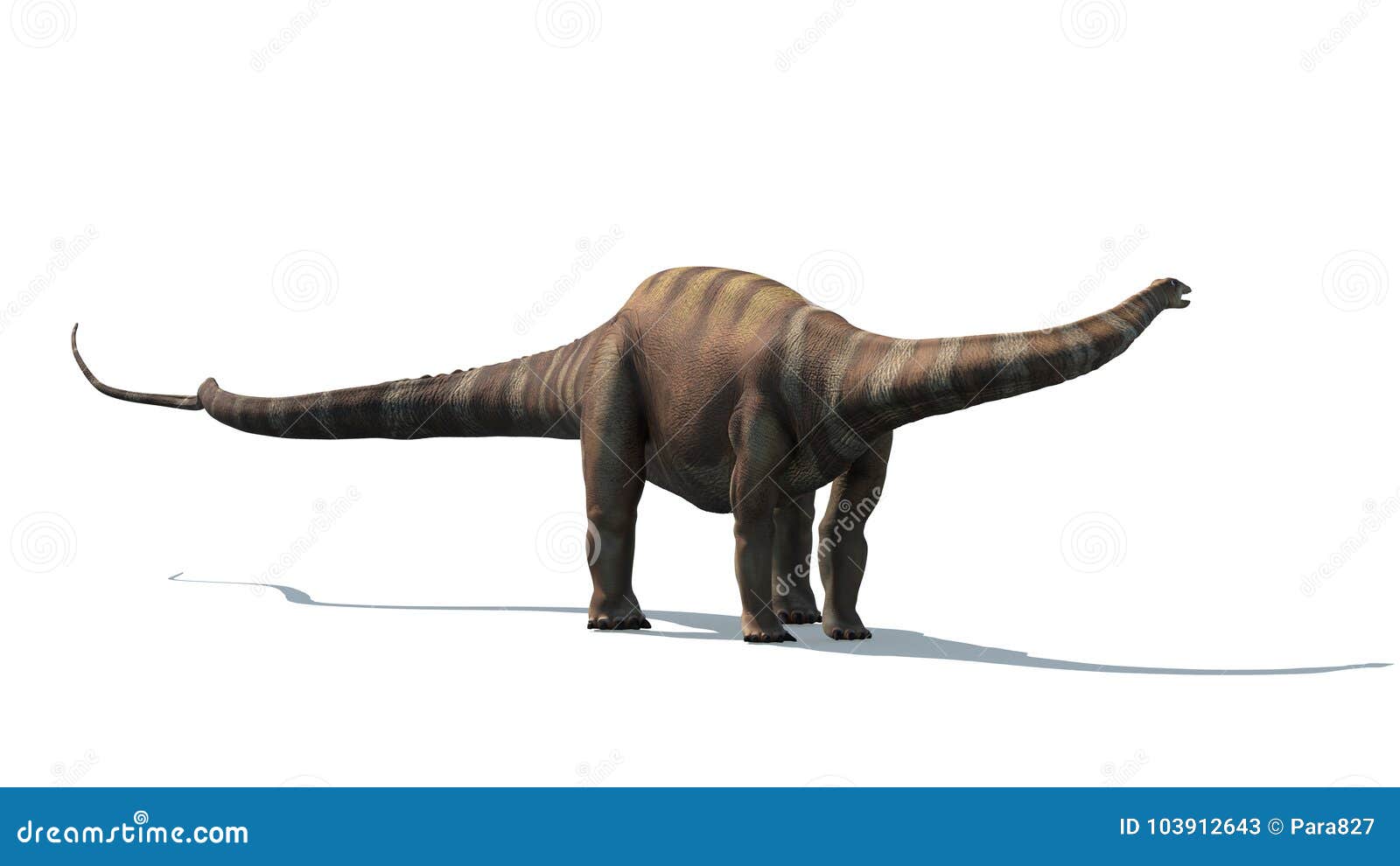 Diplodocus Stock Illustrations – 1,497 Diplodocus Stock Illustrations ...