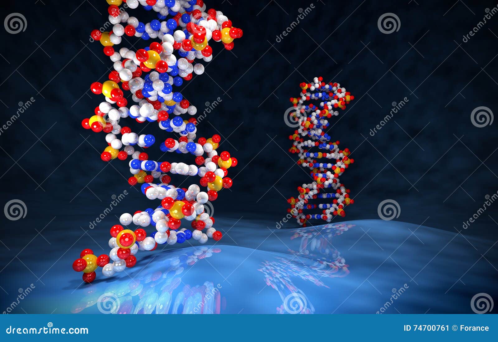 3D Rendering of DNA Molecules on Blue Surface Stock Illustration ...