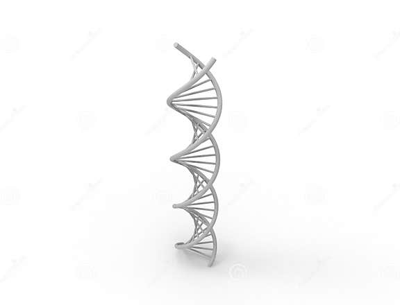 3d Rendering of DNA String Isolated in White Background Stock ...