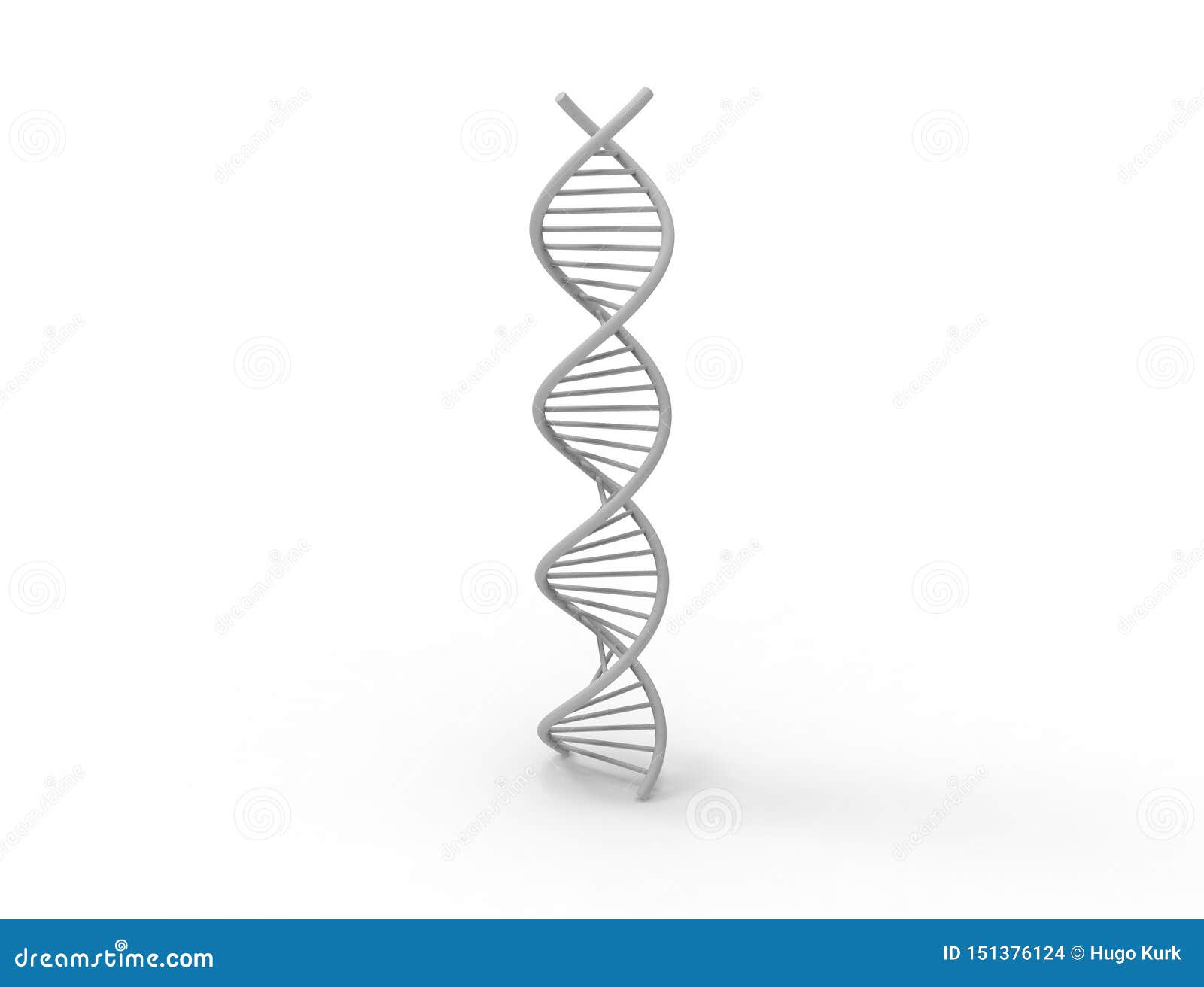 3d Rendering of DNA String Isolated in White Background Stock ...