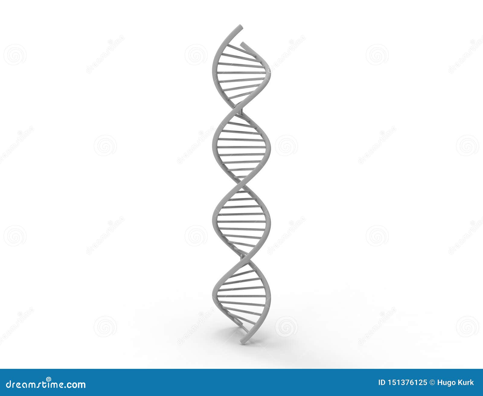 3d Rendering of DNA String Isolated in White Background Stock ...