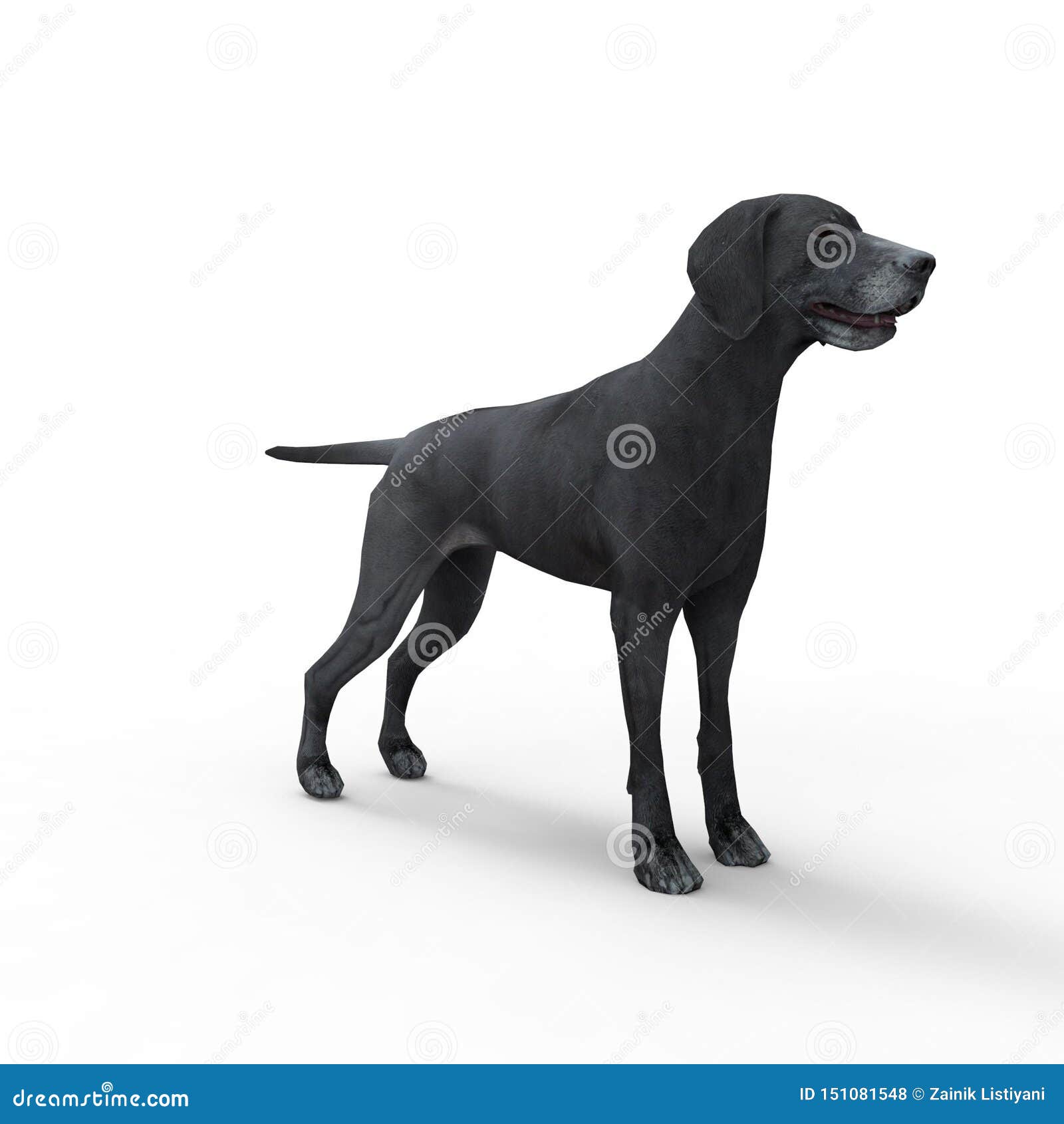 3d Rendering of Dog Created by Using a Blender Tool Stock Illustration ...