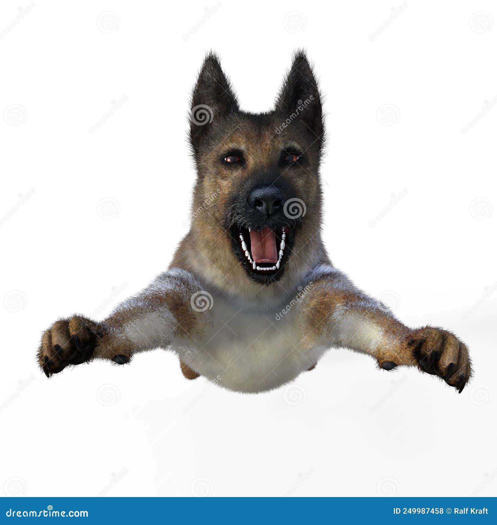 3d-illustration of an Isolated German Shepherd Dog Attacking Stock ...