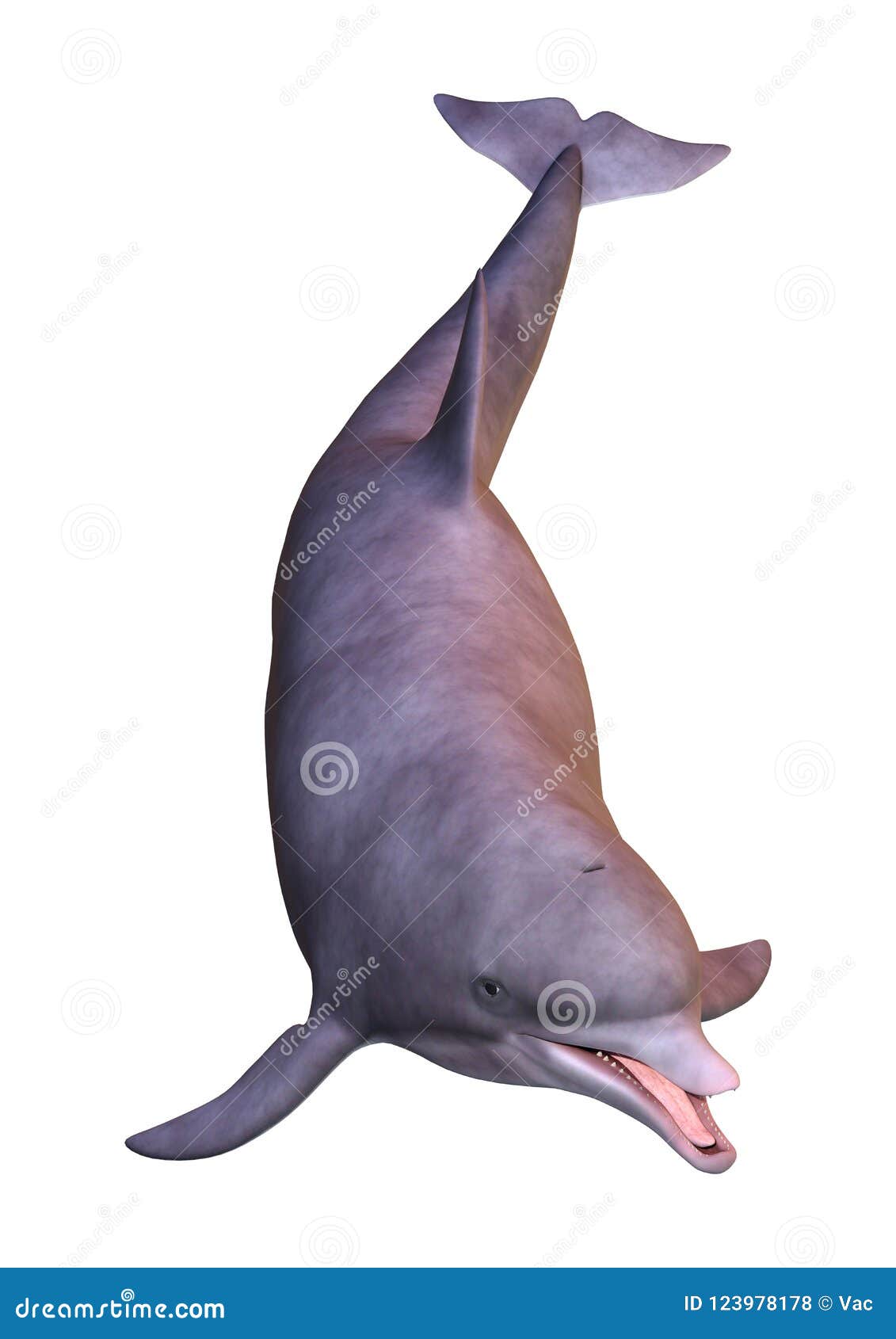 3D Rendering Dolphin on White Stock Illustration - Illustration of ...