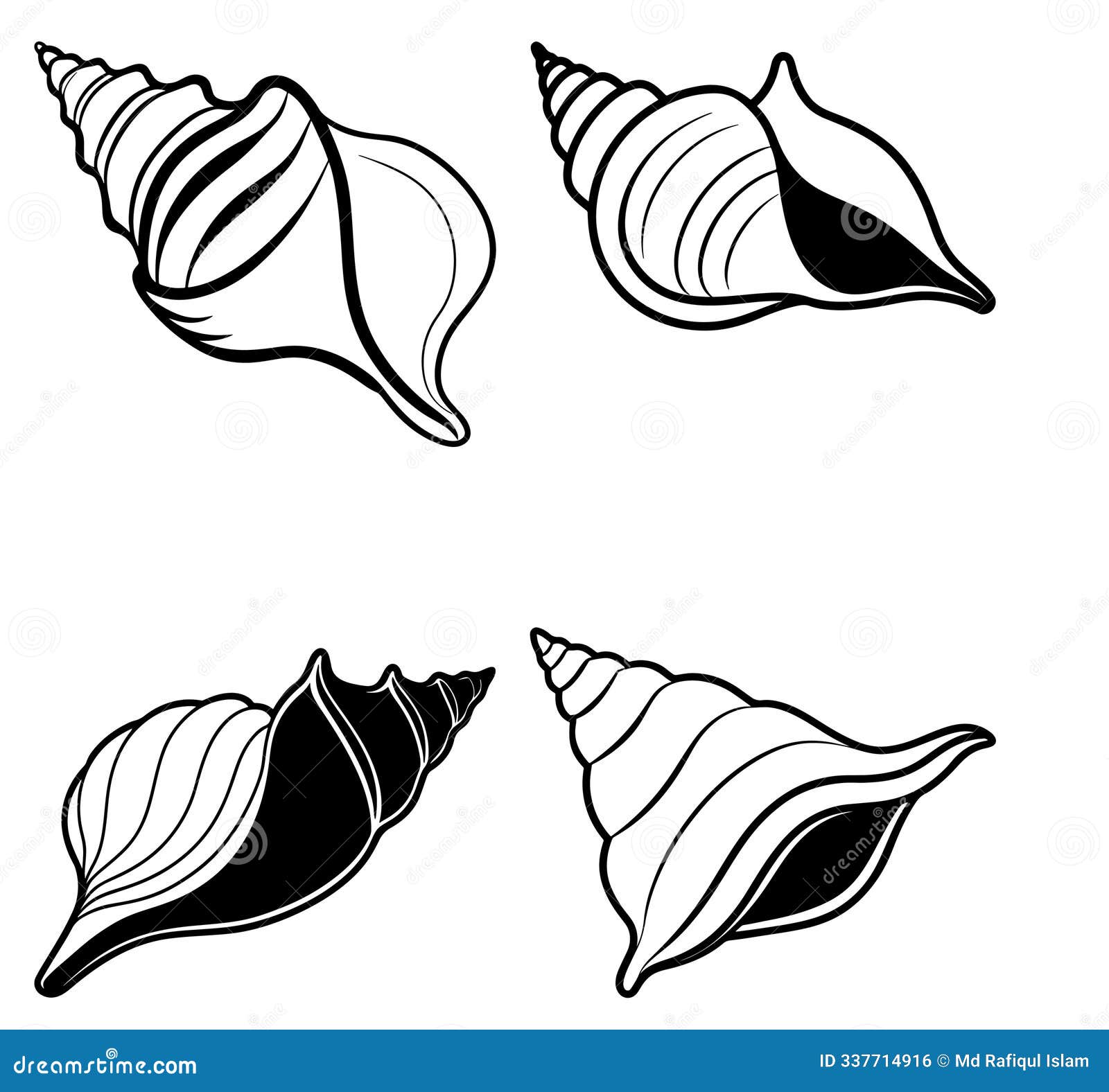 3d Rendering Of Dynamic Conch Silhouette Line Art Vector Illustration ...