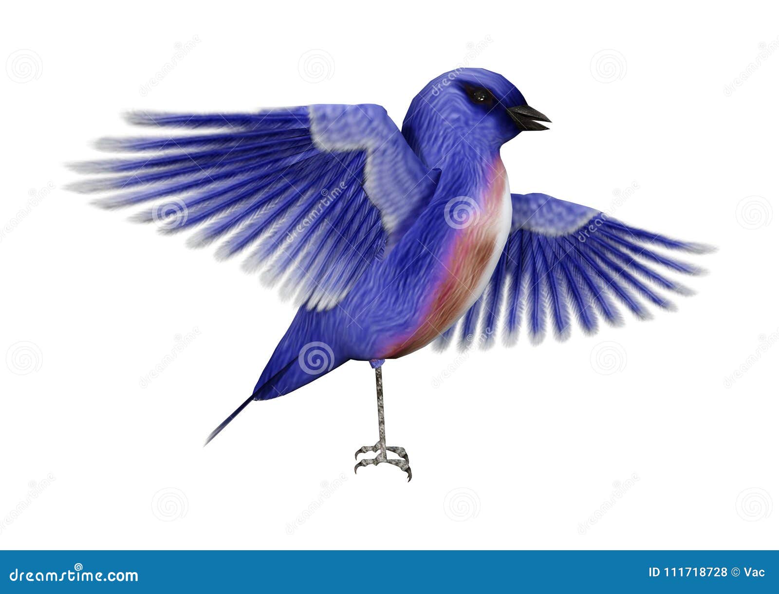 Eastern Bluebird ,vector Illustration , Black Silhouette ,profile ...