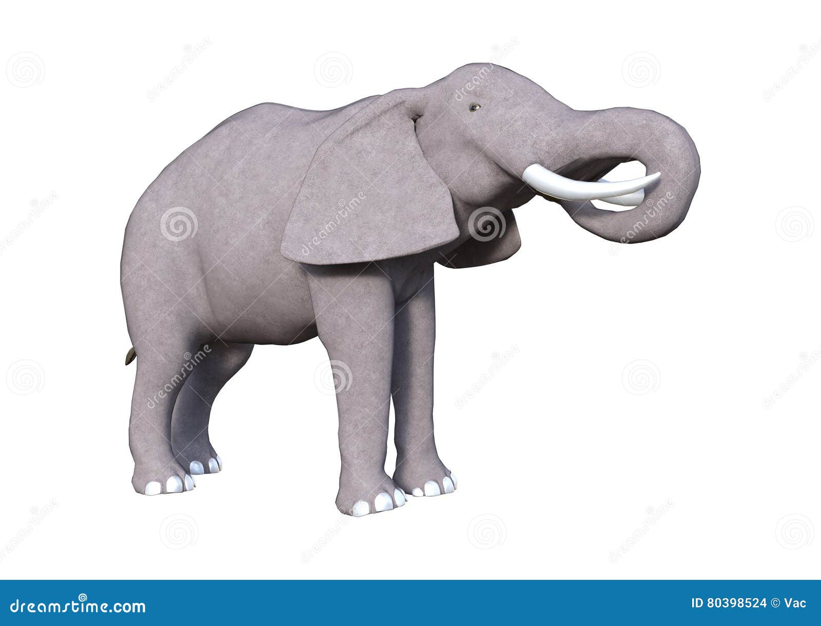 3D Rendering Elephant on White Stock Illustration - Illustration of ...