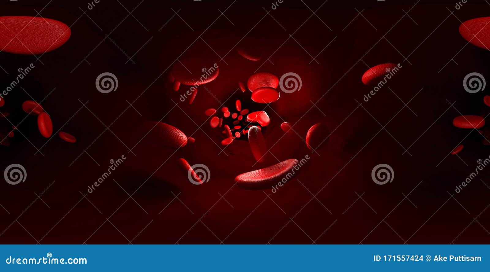 3d Rendering Of Erythrocyte Or Red Blood Corpuscle. Equirectangular 360 ...