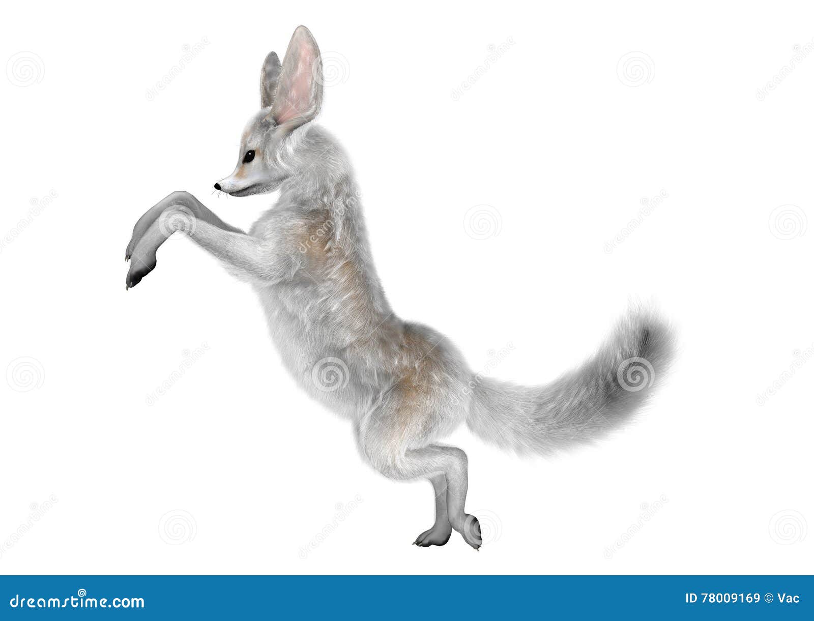 3D Rendering Fennec Fox on White Stock Illustration - Illustration of ...