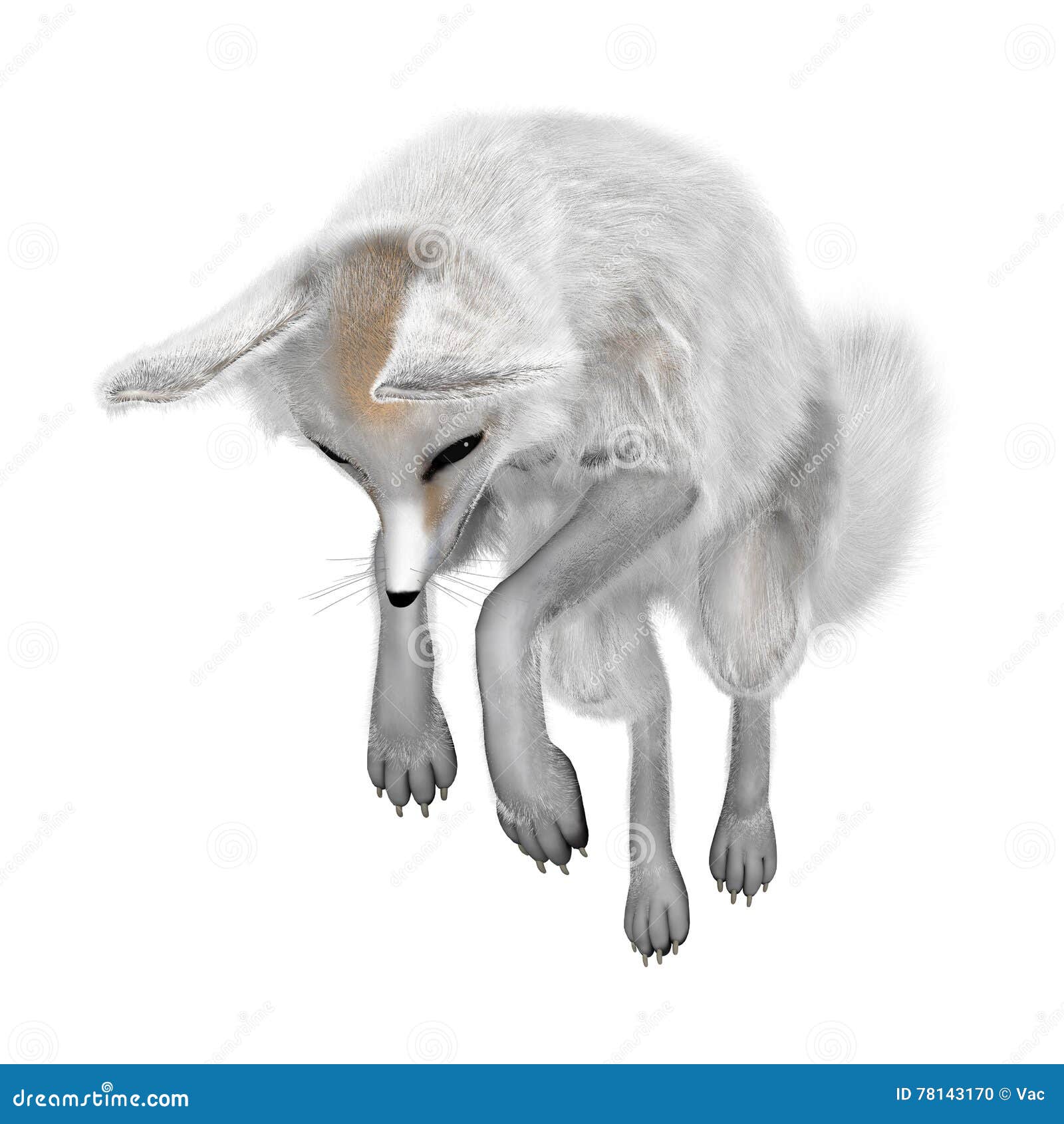 3D Rendering Fennec Fox on White Stock Illustration - Illustration of ...