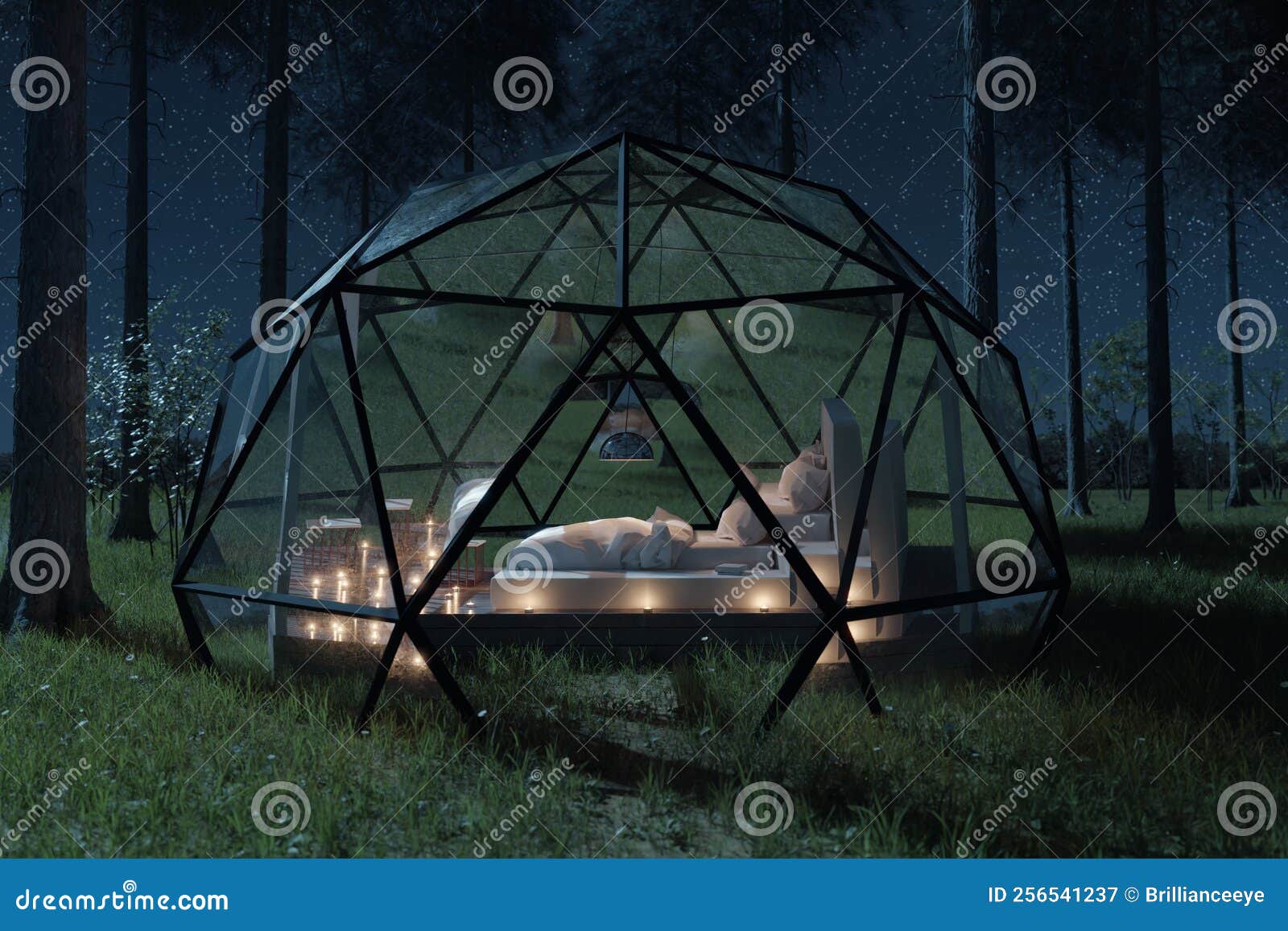 3D Rendering Of Geodesic Dome Hut With Glass Panels In Front Of Pine ...