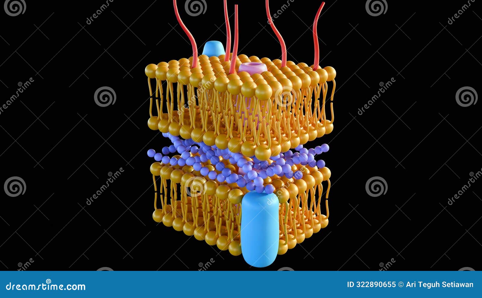 Lipopolysaccharide LPS, Lipid A And Inner Core Fragment Endotoxin ...