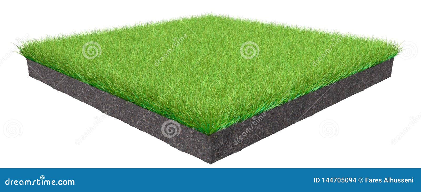 3d Rendering of a Grass Patch Isolated Stock Illustration ...