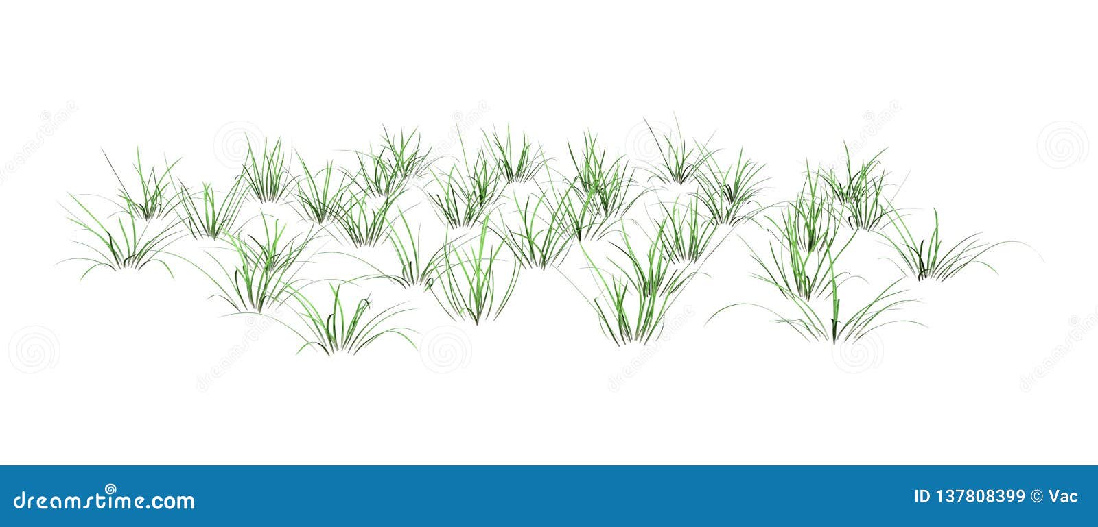 3D Rendering Green Grass on White Stock Image - Image of rendering ...