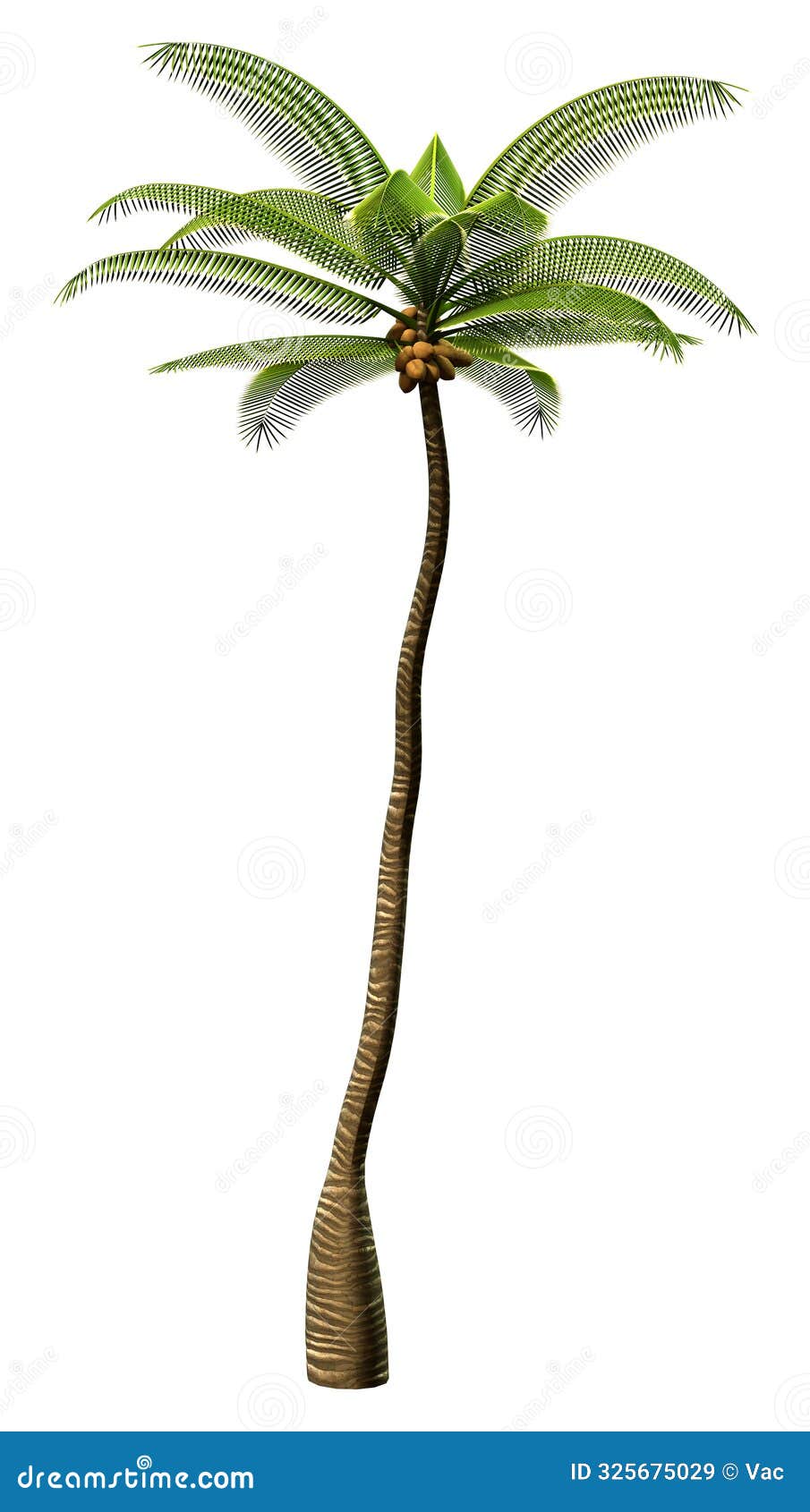 3D Rendering Palm Tree on White Stock Illustration - Illustration of ...