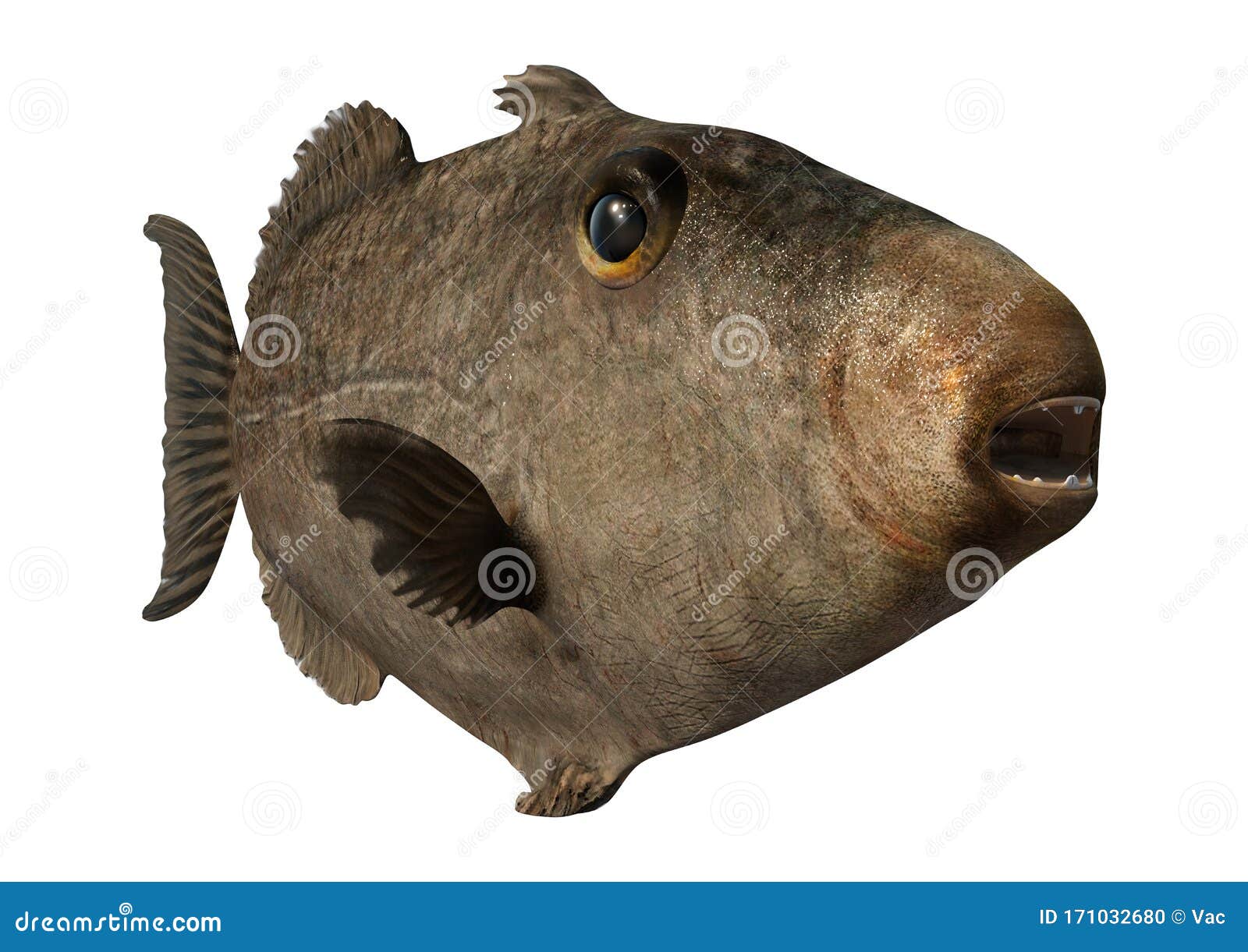 3D Rendering Grey Triggerfish on White Stock Illustration ...