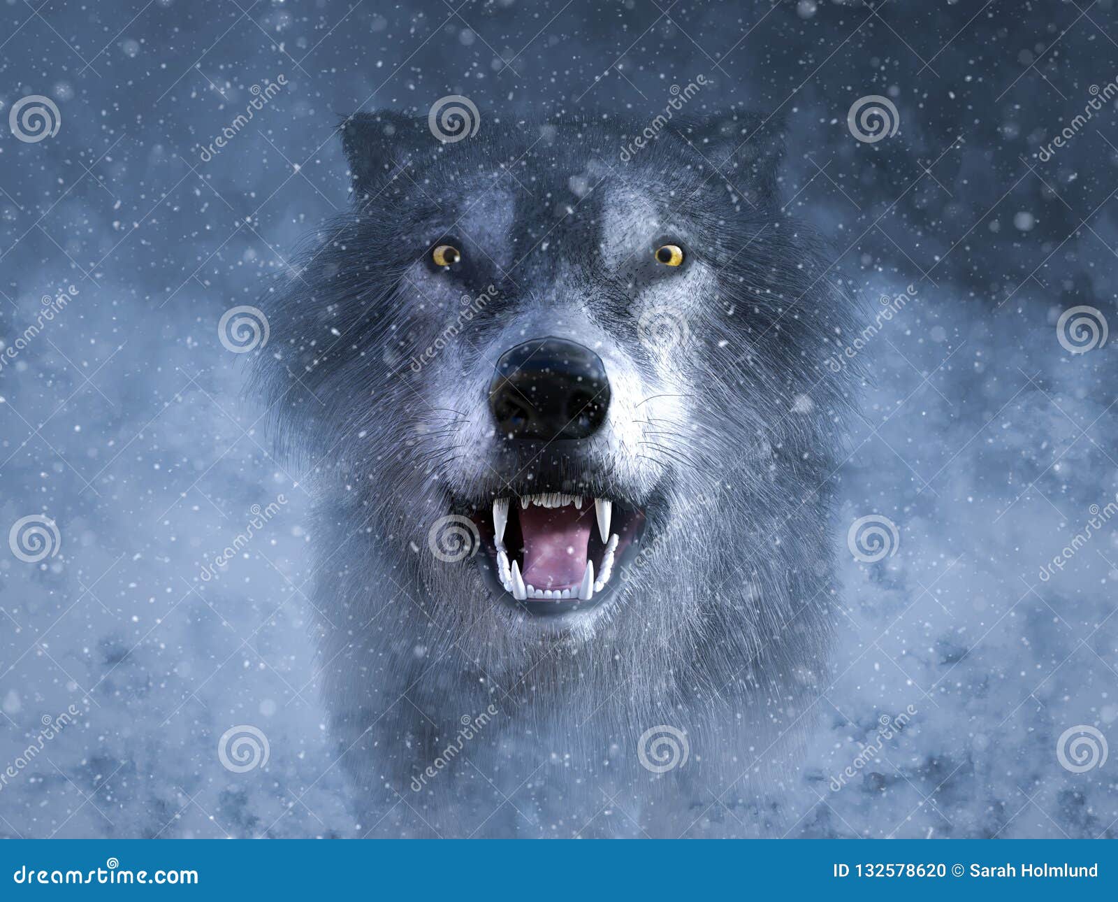 Wolf Growling Muzzle Front View. Ink Black And White Doodle Drawing ...